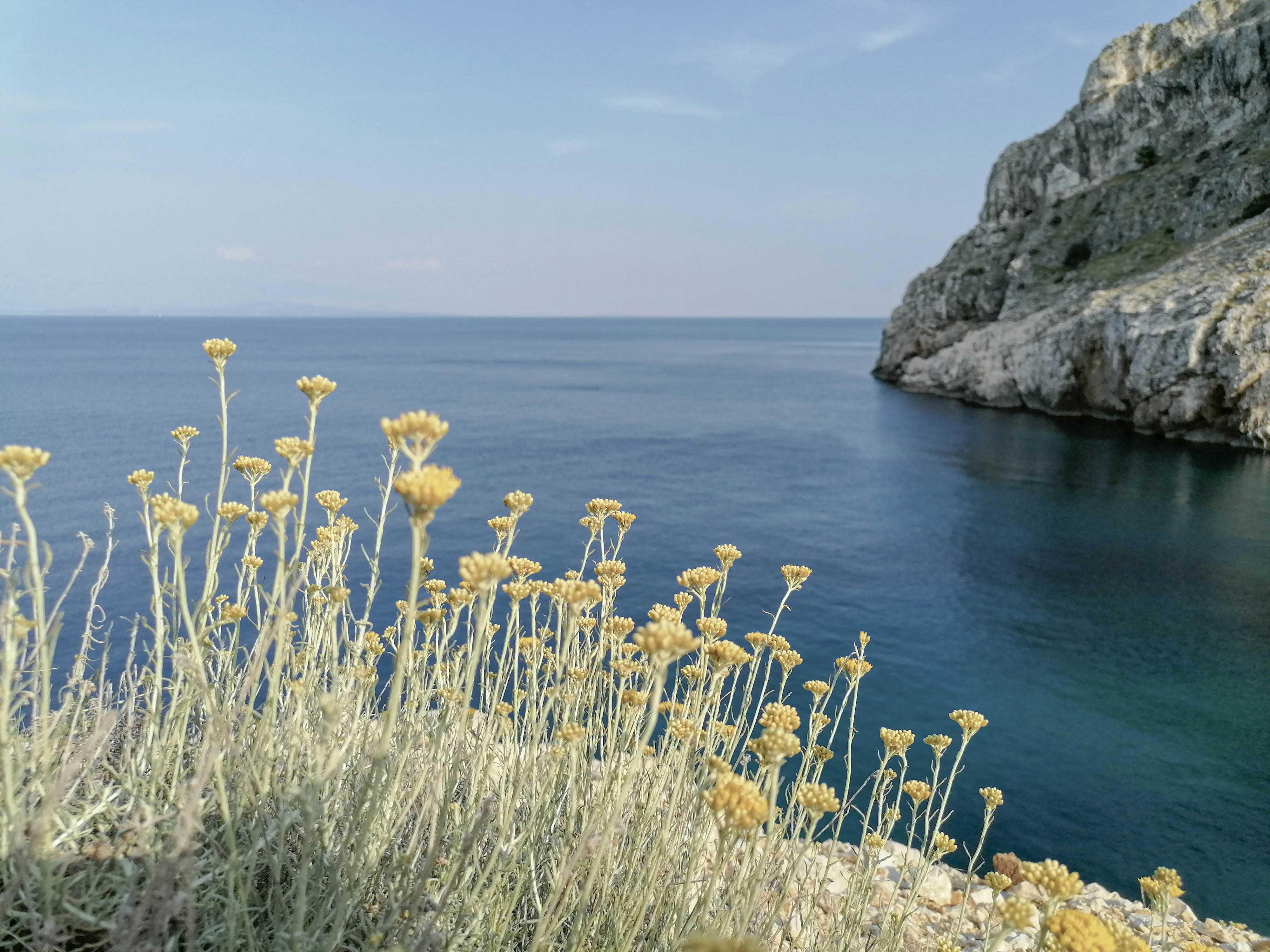 Whispers of the Coastline: Nature's Embrace