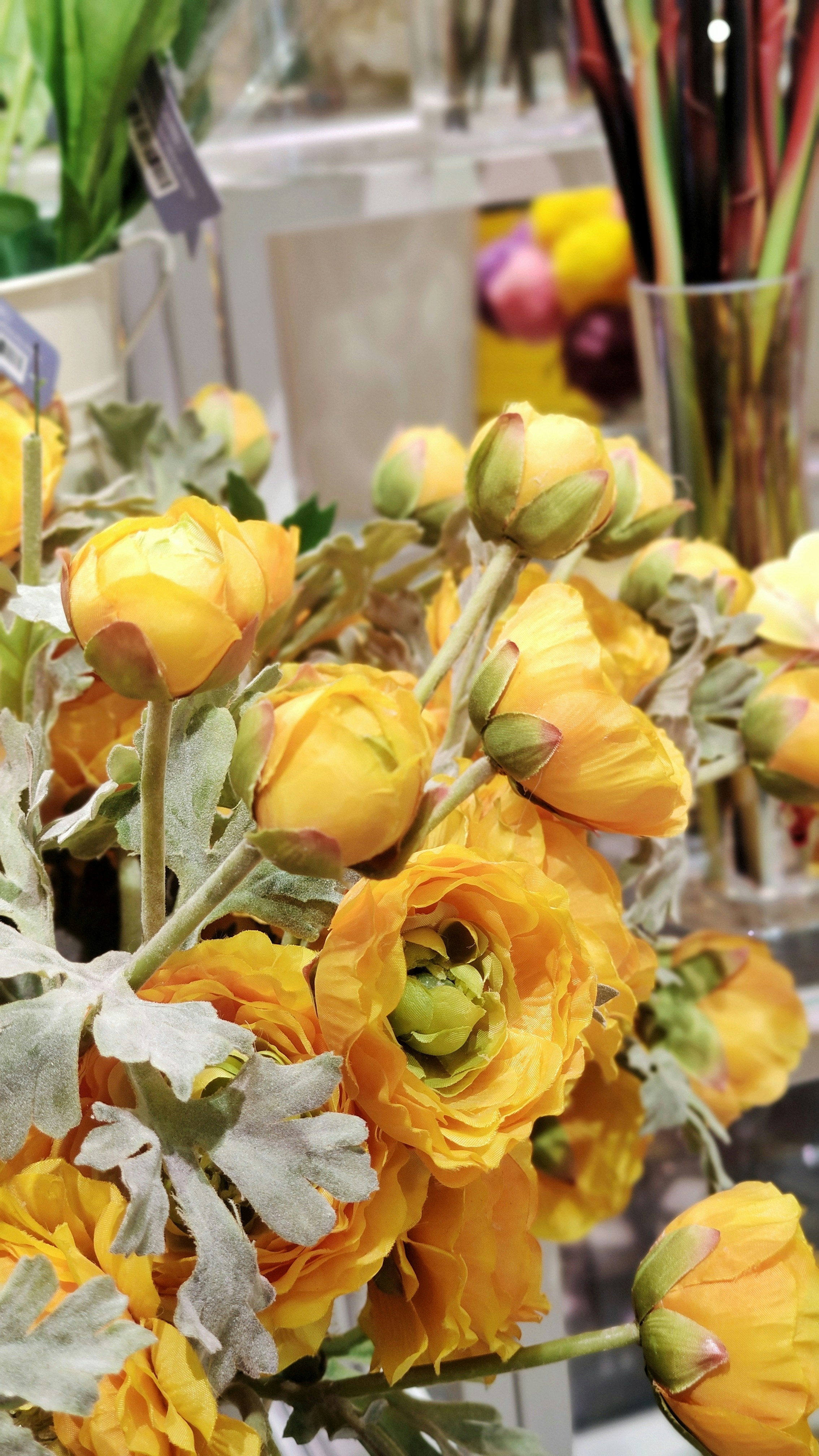 Golden Ranunculus Bouquet in a Florist Display