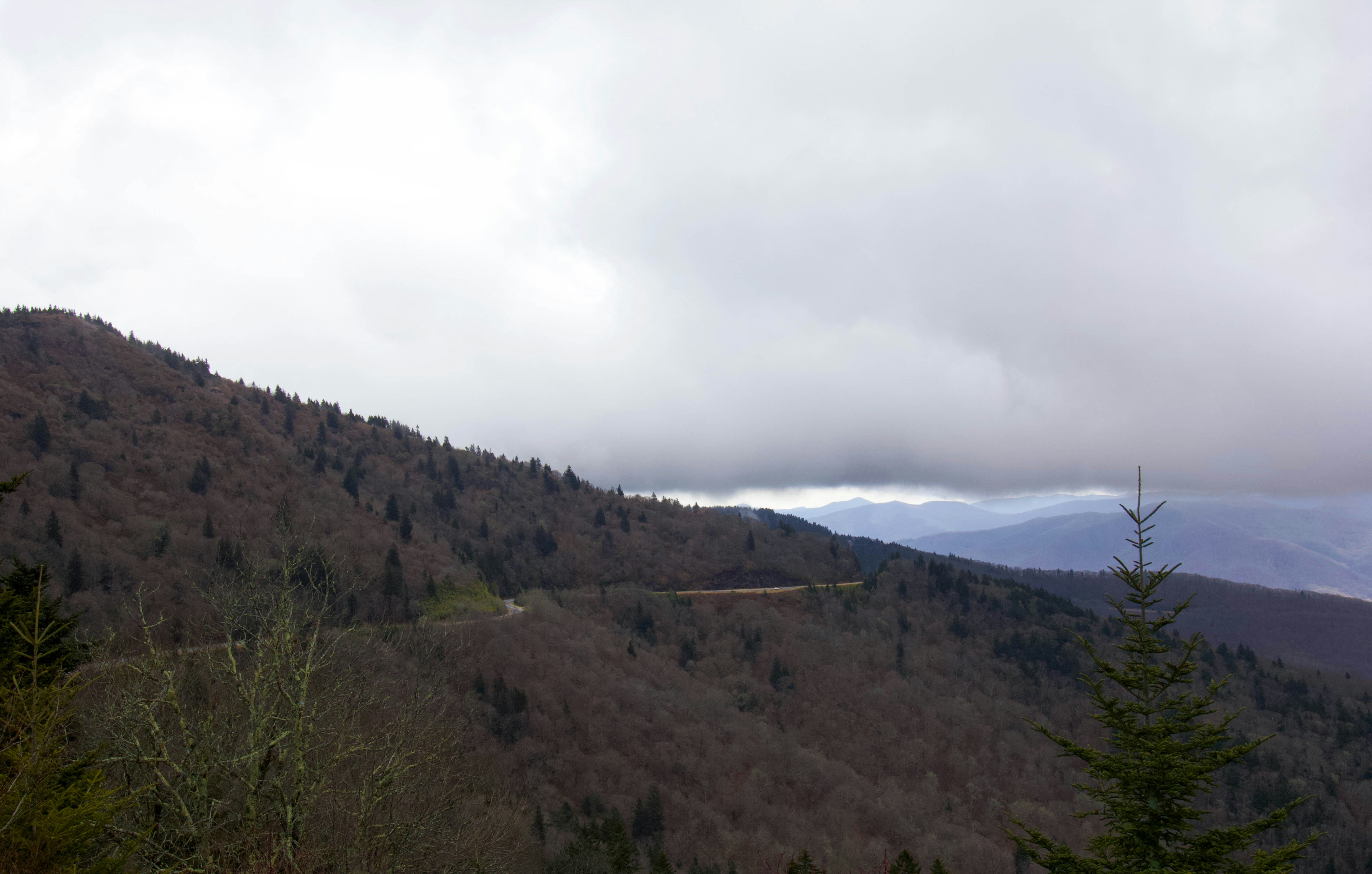 A misty landscape showcasing a mountain ridge partially obscured by clouds, with a winding road traversing the terrain. Evergreen trees frame the scene.