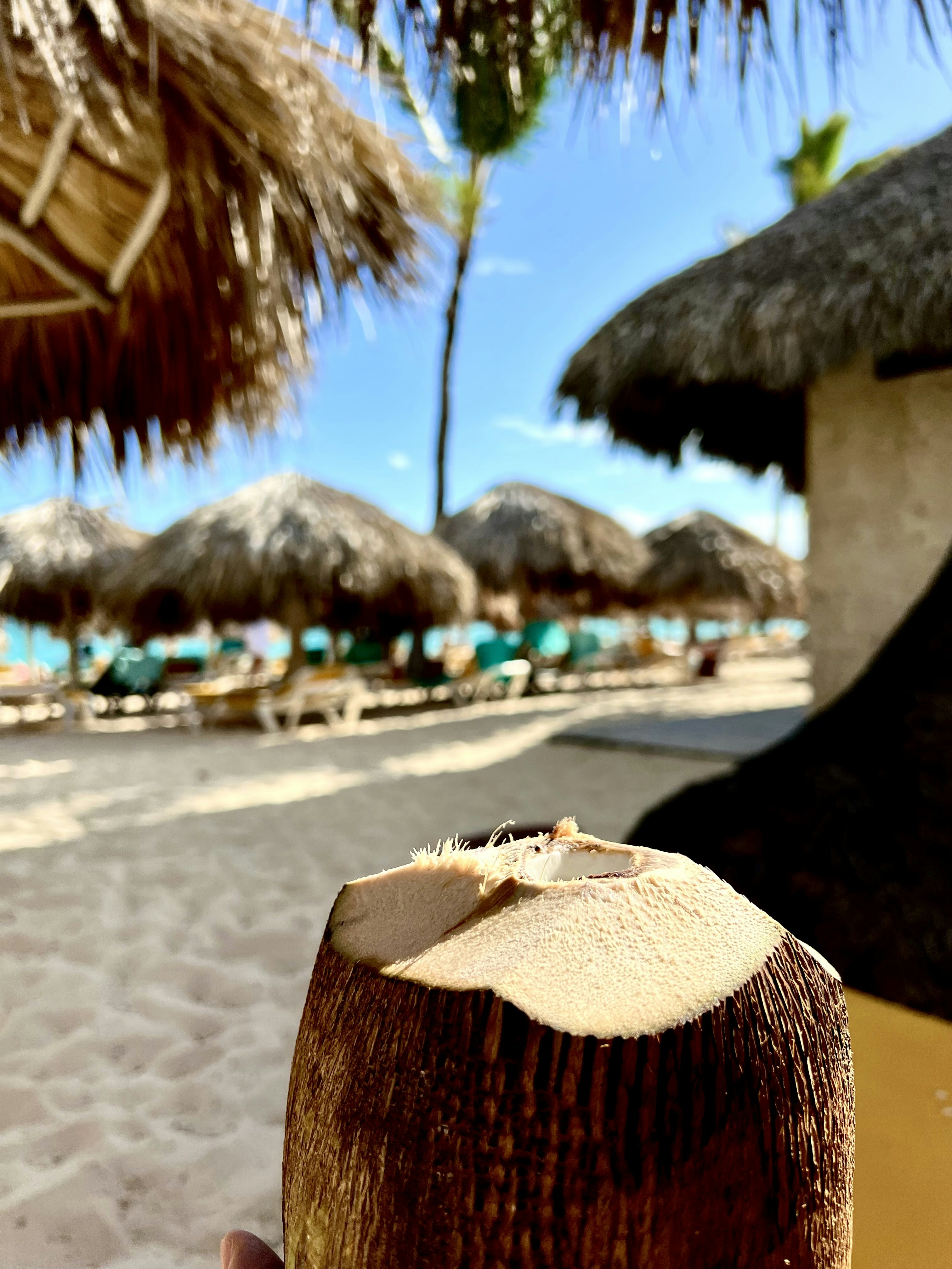 Freshly cut coconut held in the foreground, with beach umbrellas and palm trees in the background, evoking a relaxed tropical atmosphere.