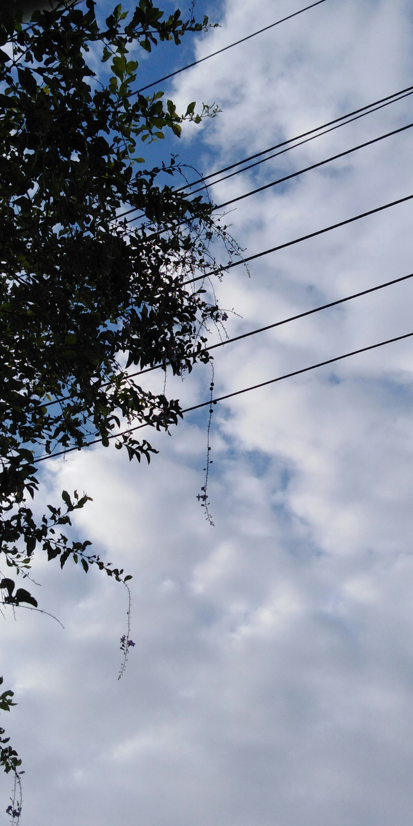 A telephone pole and some power lines in the sky photo – Free Utility ...