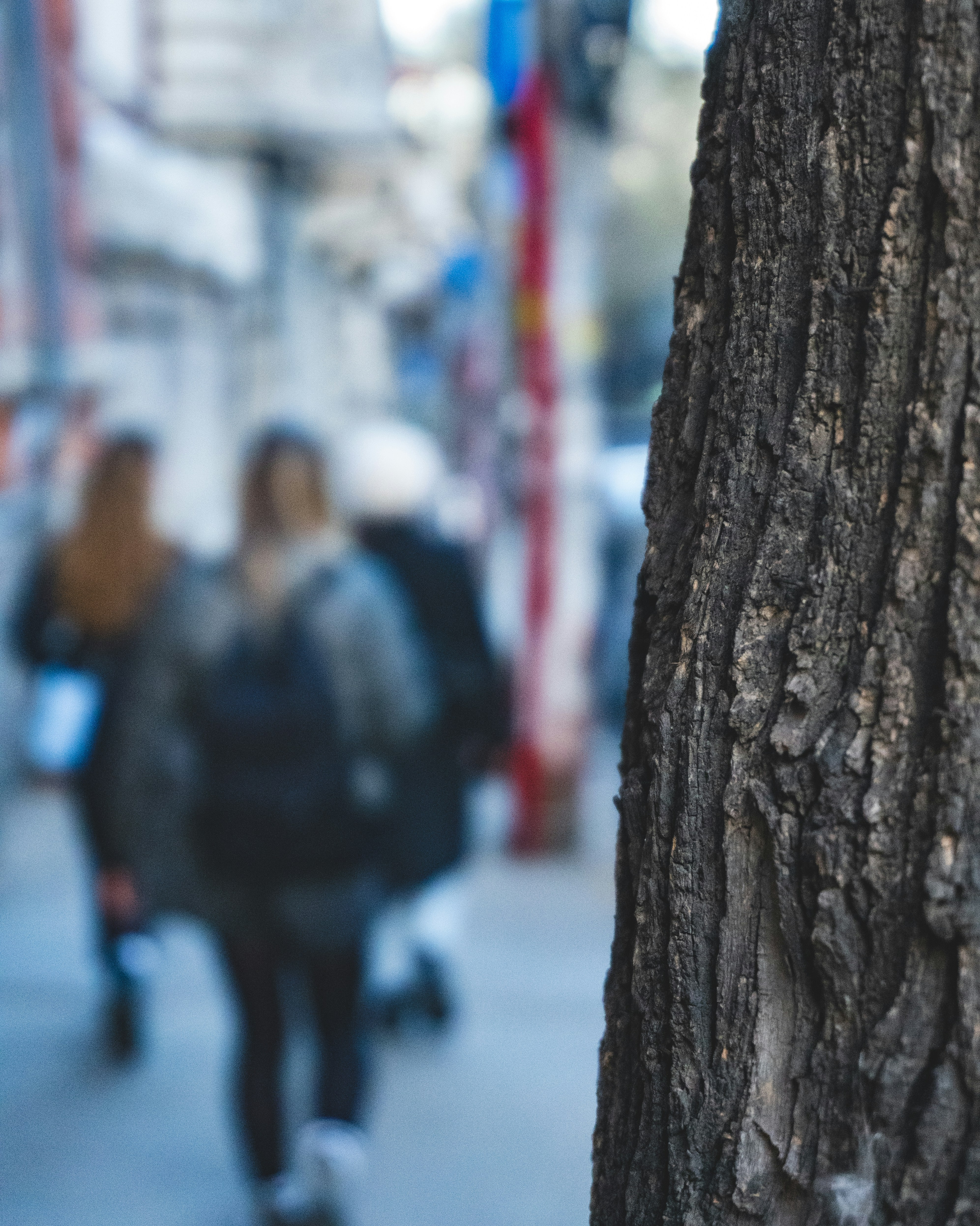 Rugged Bark at the City Edge: A Sharp Foreground Framing a Soft-Focused Urban Crowd