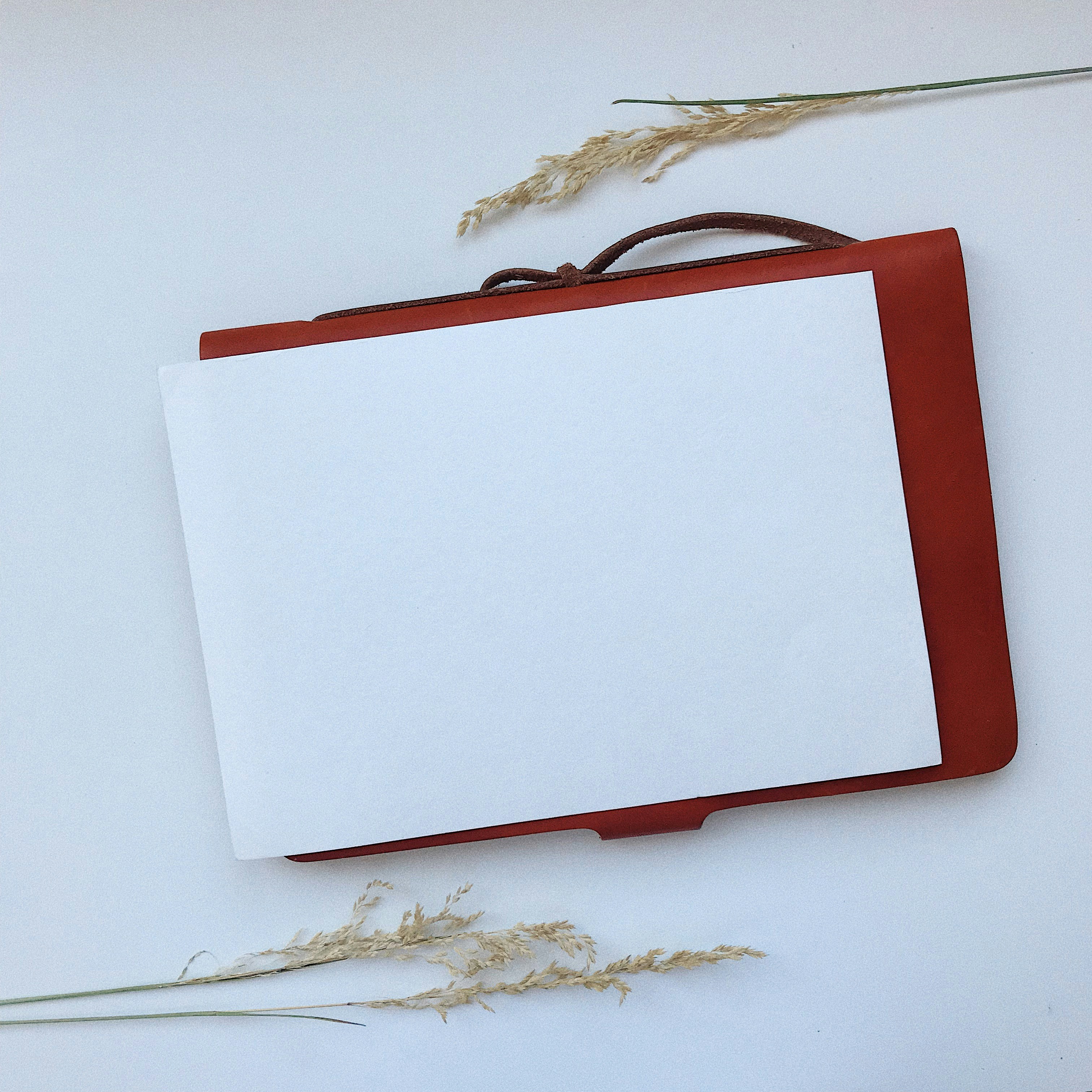 Minimalist Card on a Red Sleeve, Framed by Dried Grasses