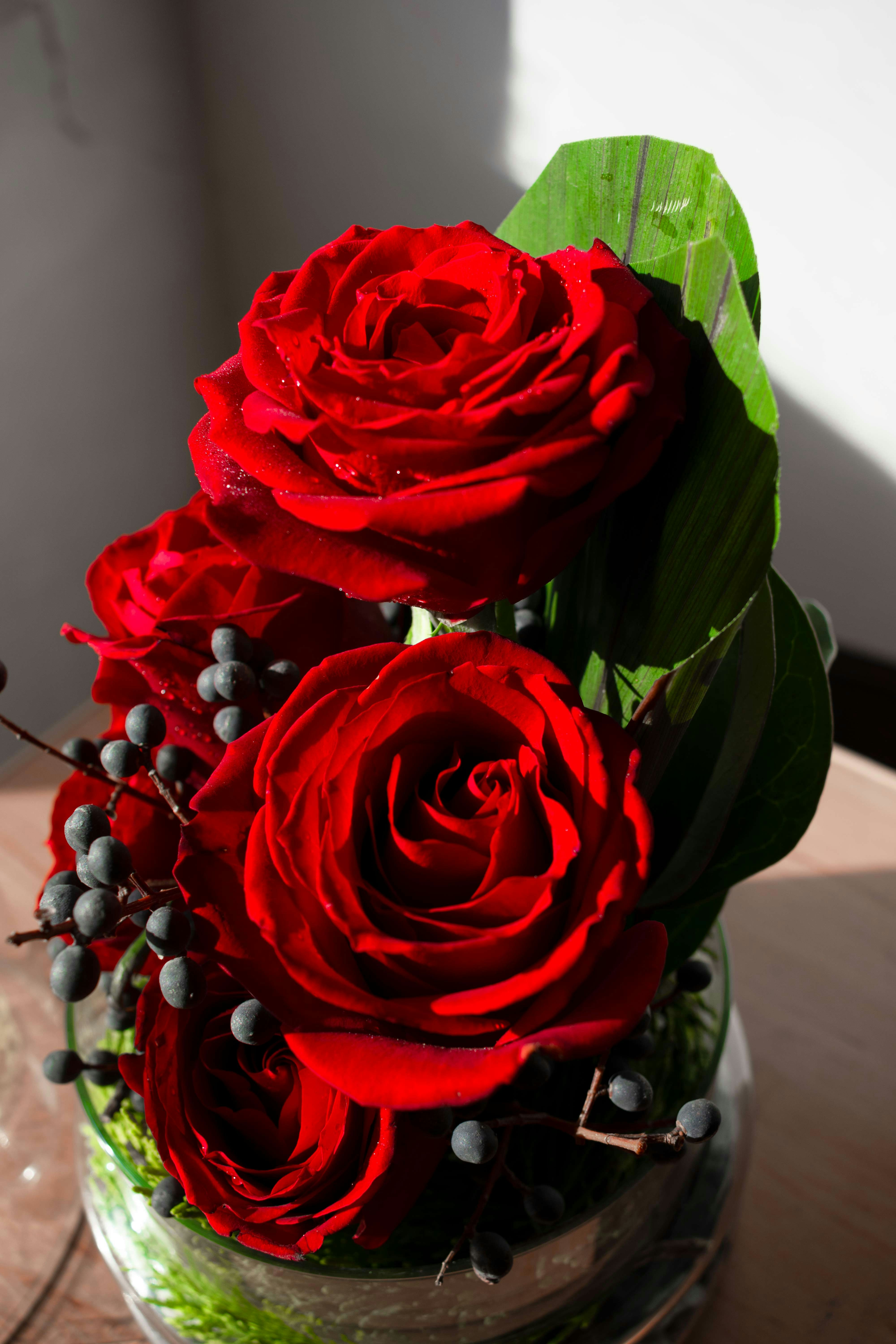 Un vase rempli de roses rouges sur une table photo – Photo Plante ...