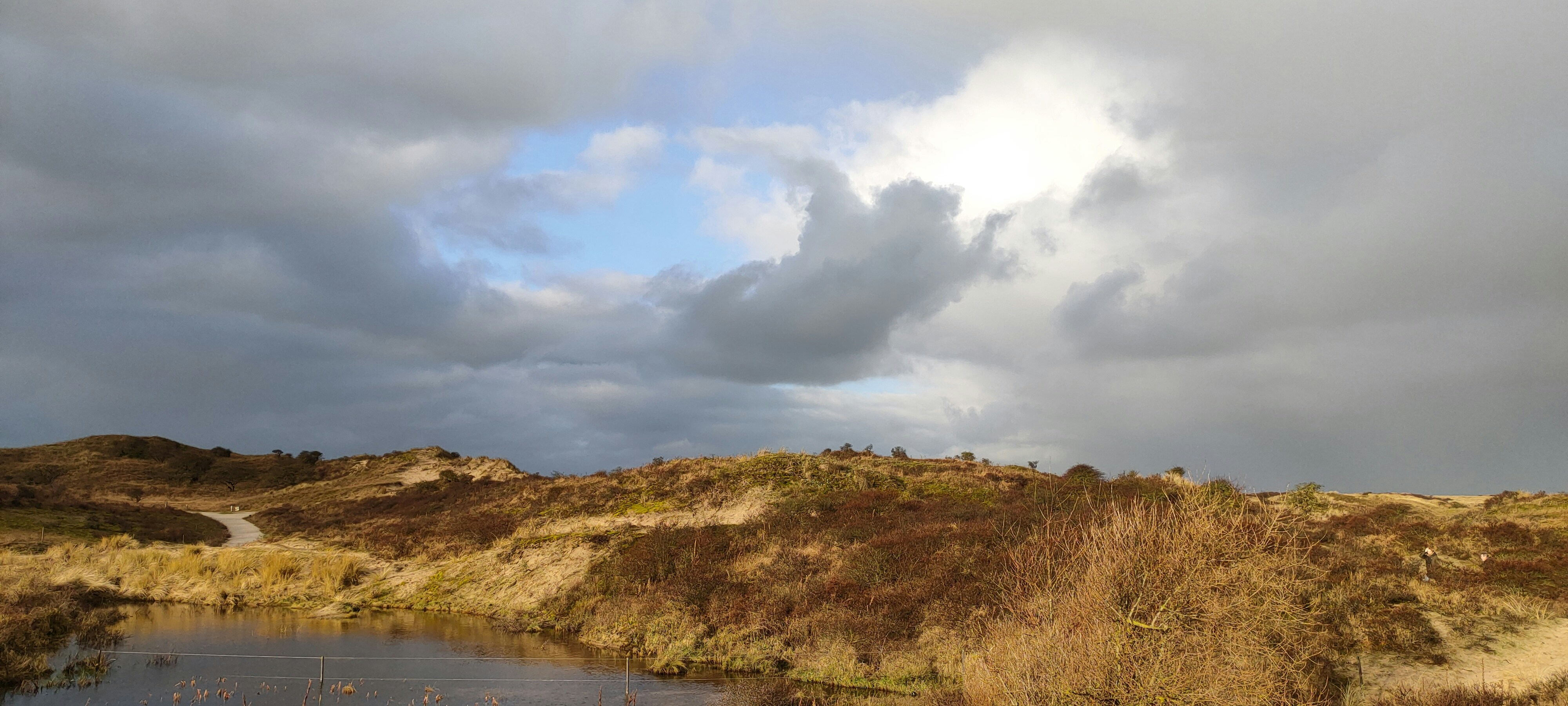 Horizon Ridge in Golden Light Under a Tempest-Cloud Sky