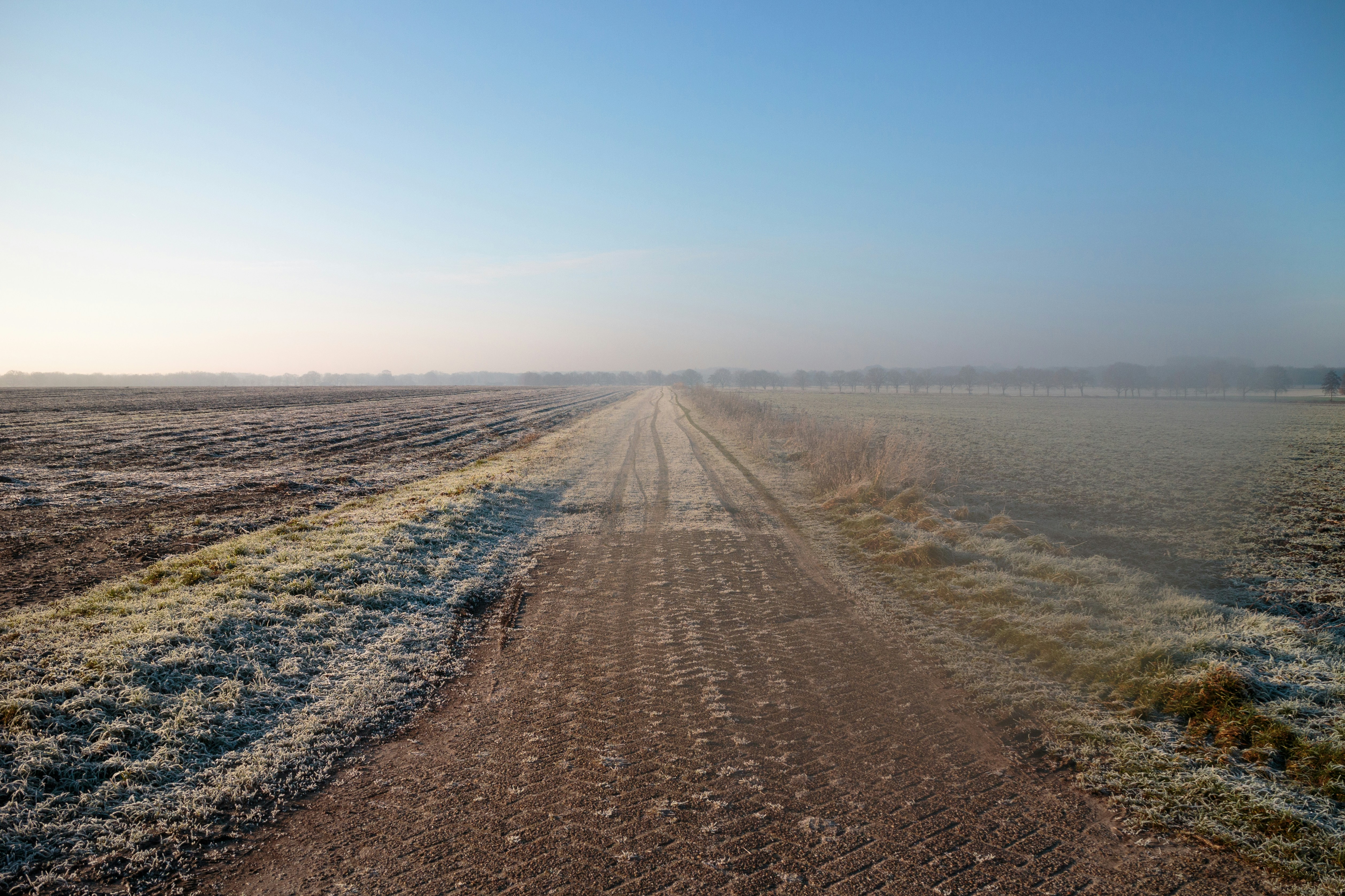 Dawn Frost Along a Narrow Dirt Road to the Quiet Horizon
