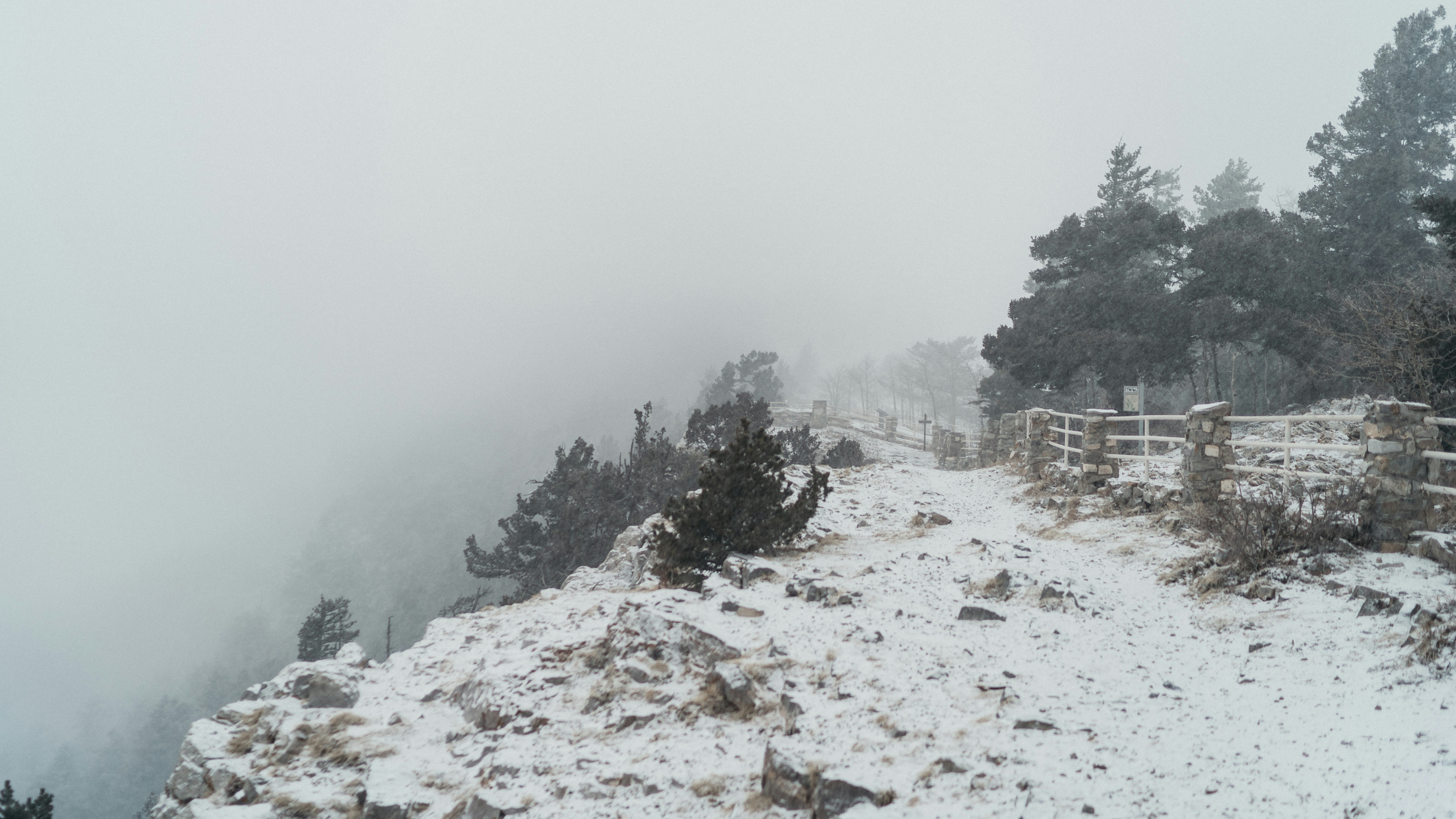Ridge Edge in Quiet Fog: Snow, Rail, and Pines