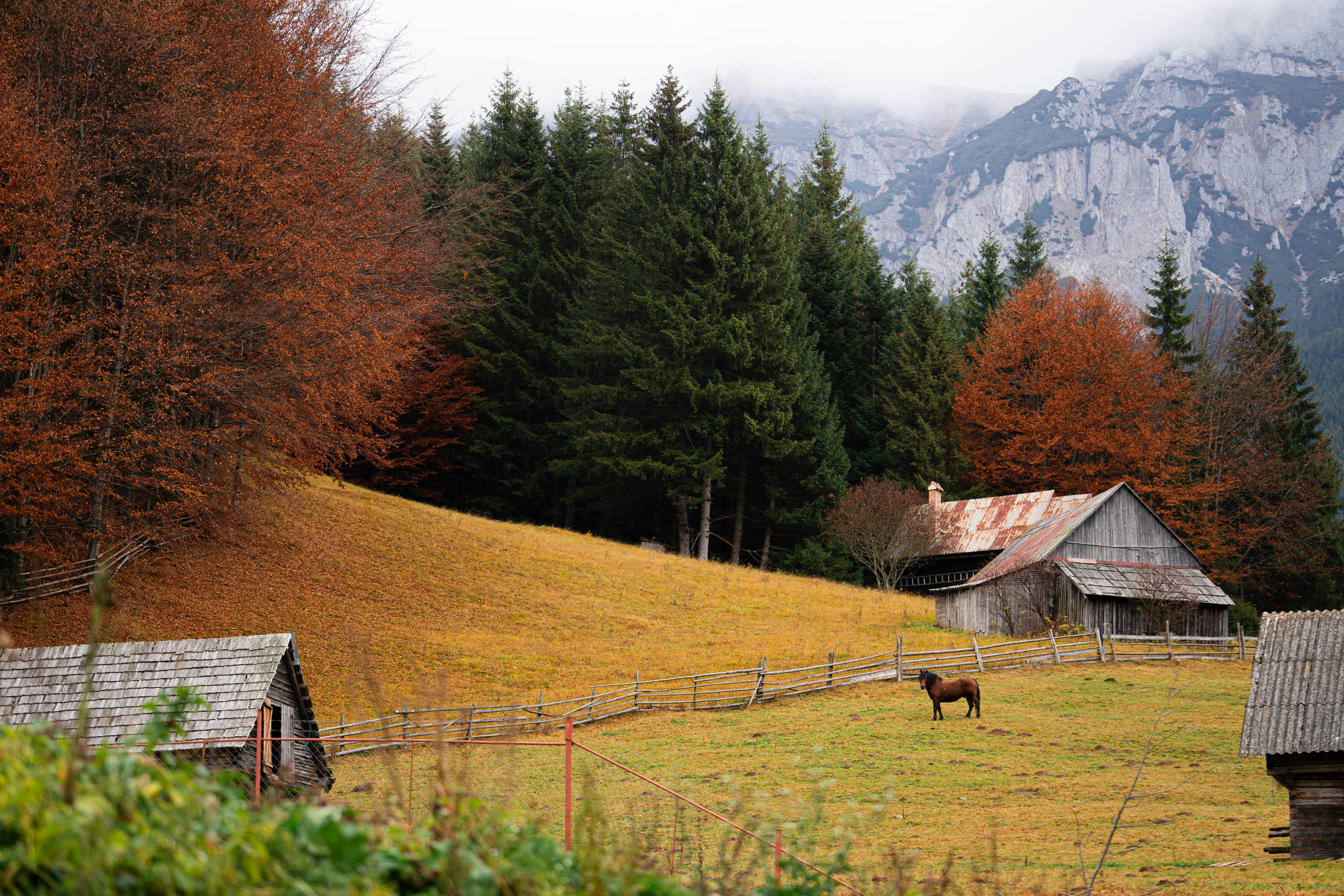 Horse grazing in a vibrant autumn meadow surrounded by rustic cabins and towering pine trees against a backdrop of misty mountains.