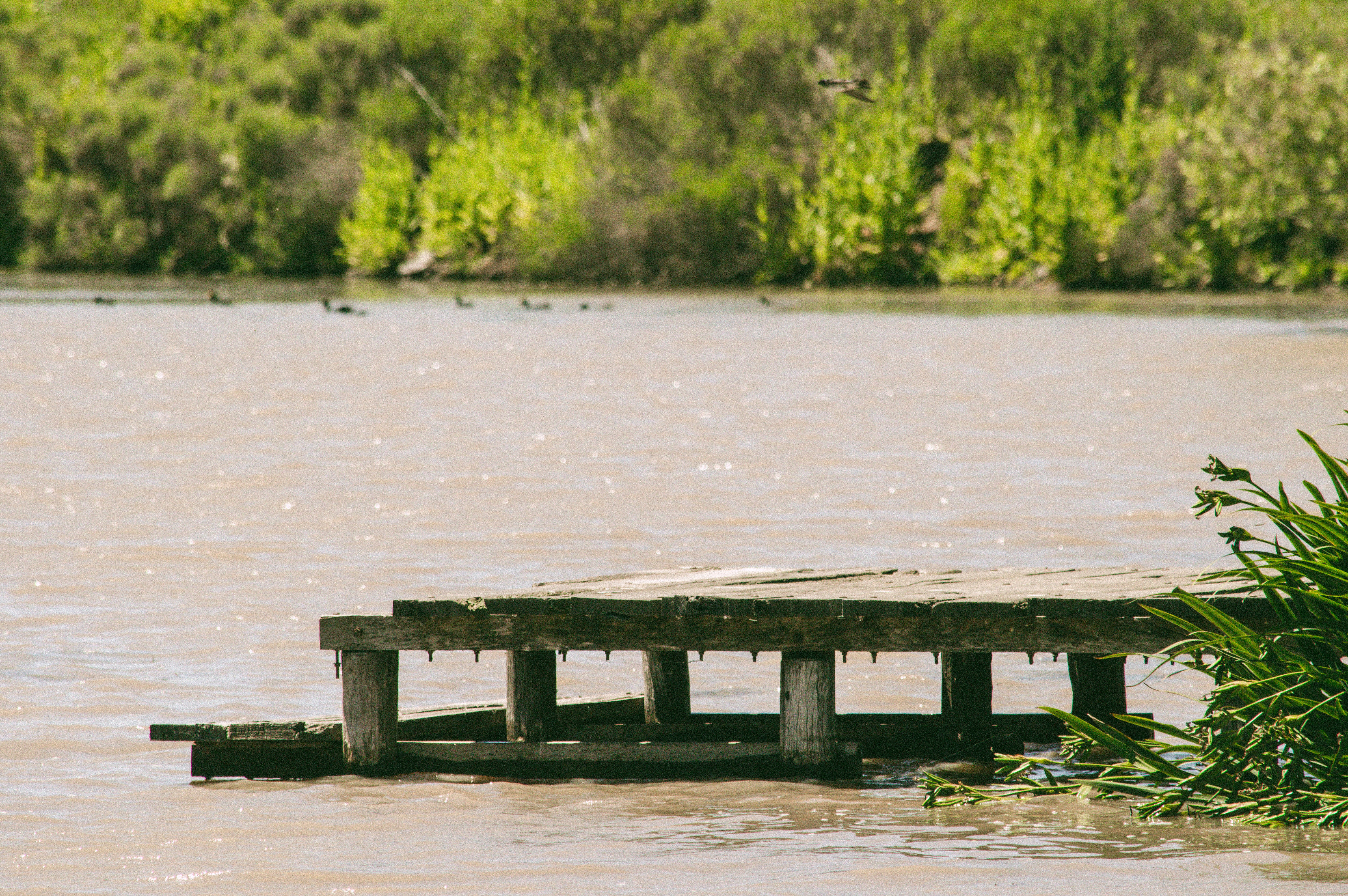 Un quai en bois assis au milieu d’une rivière photo – Photo Argentina ...