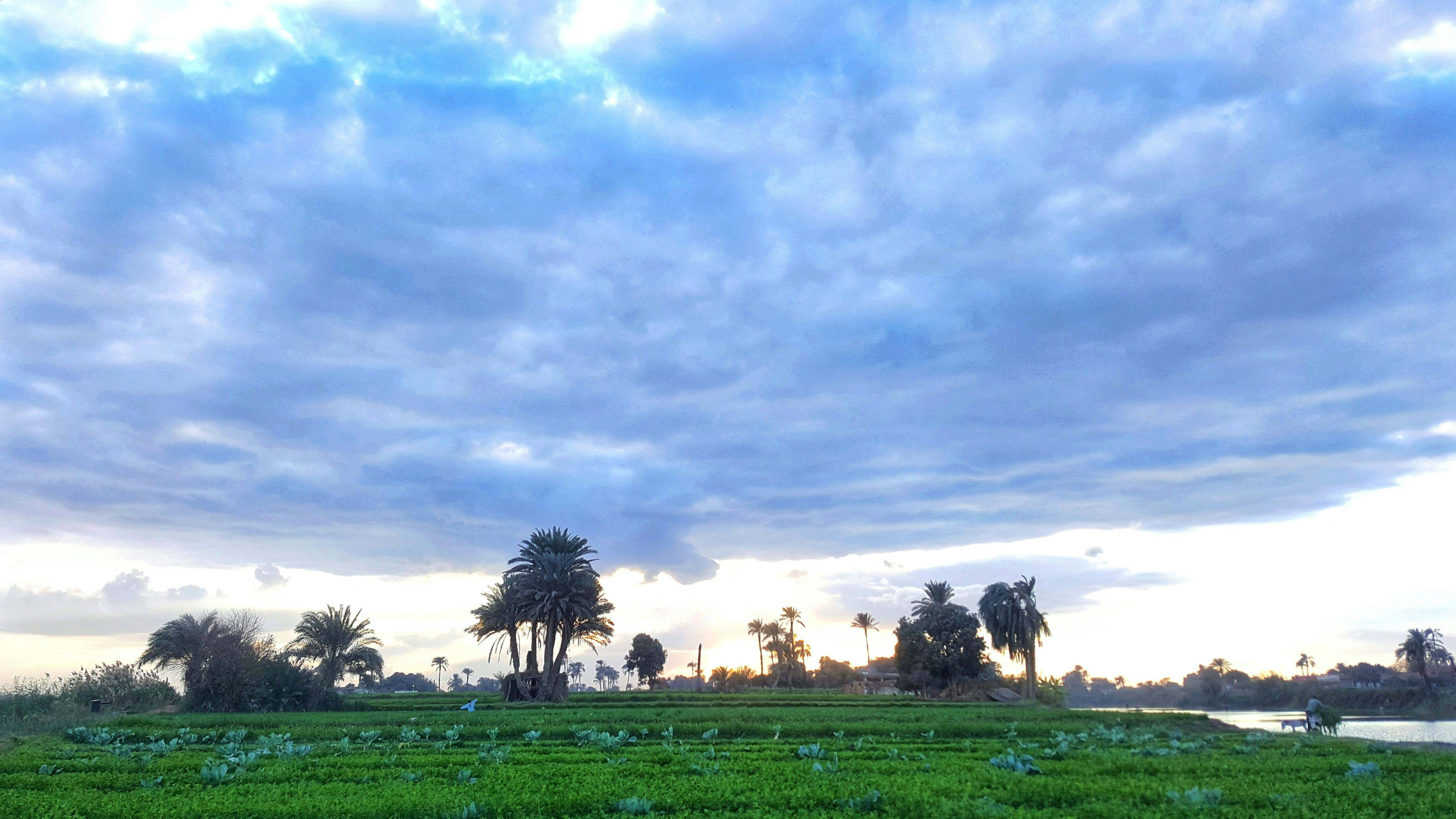 Lush green fields stretch under a dramatic sky filled with billowing clouds and distant trees.