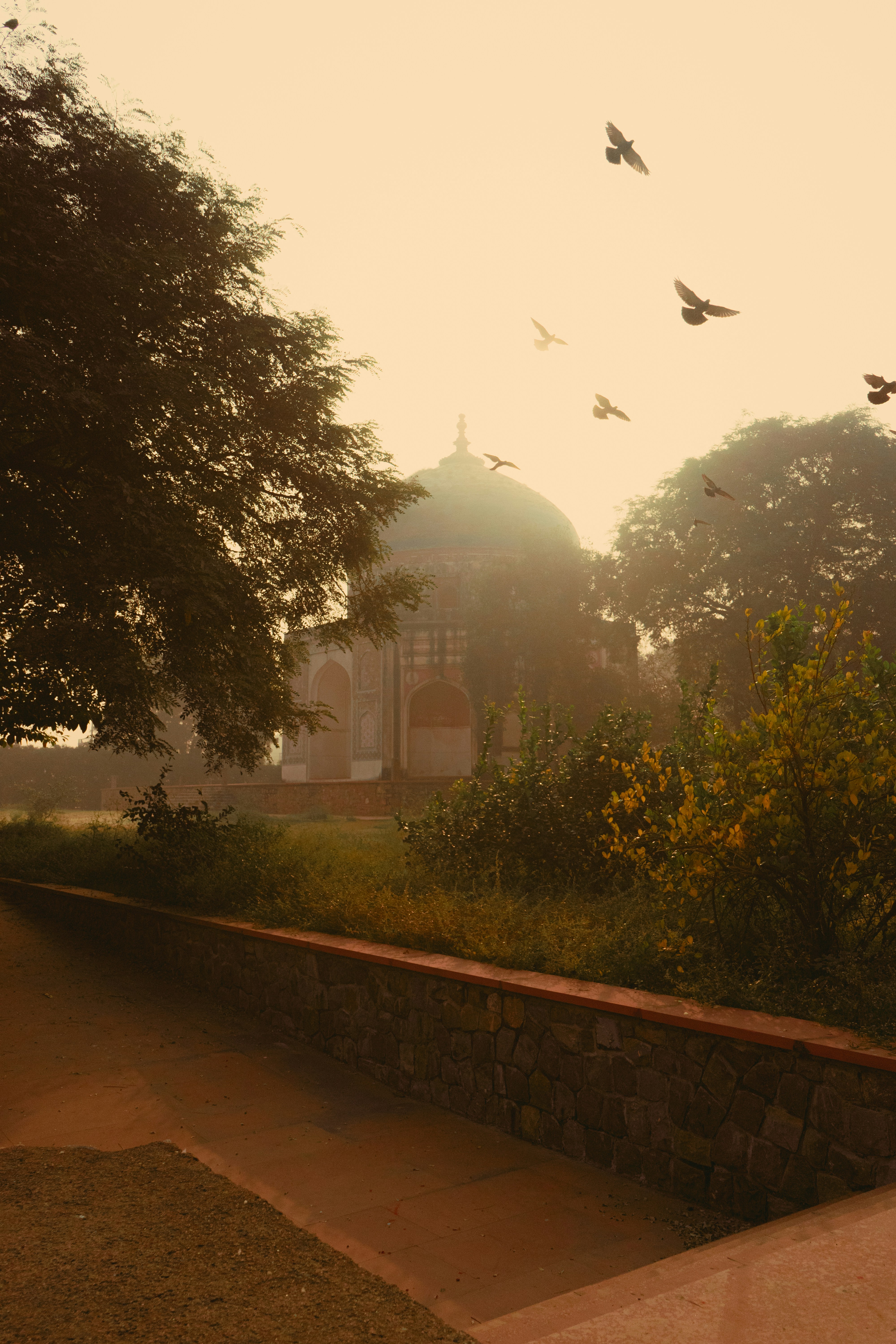 Dawn Over the Dome: A Quiet Garden Framed by Trees and Circling Birds