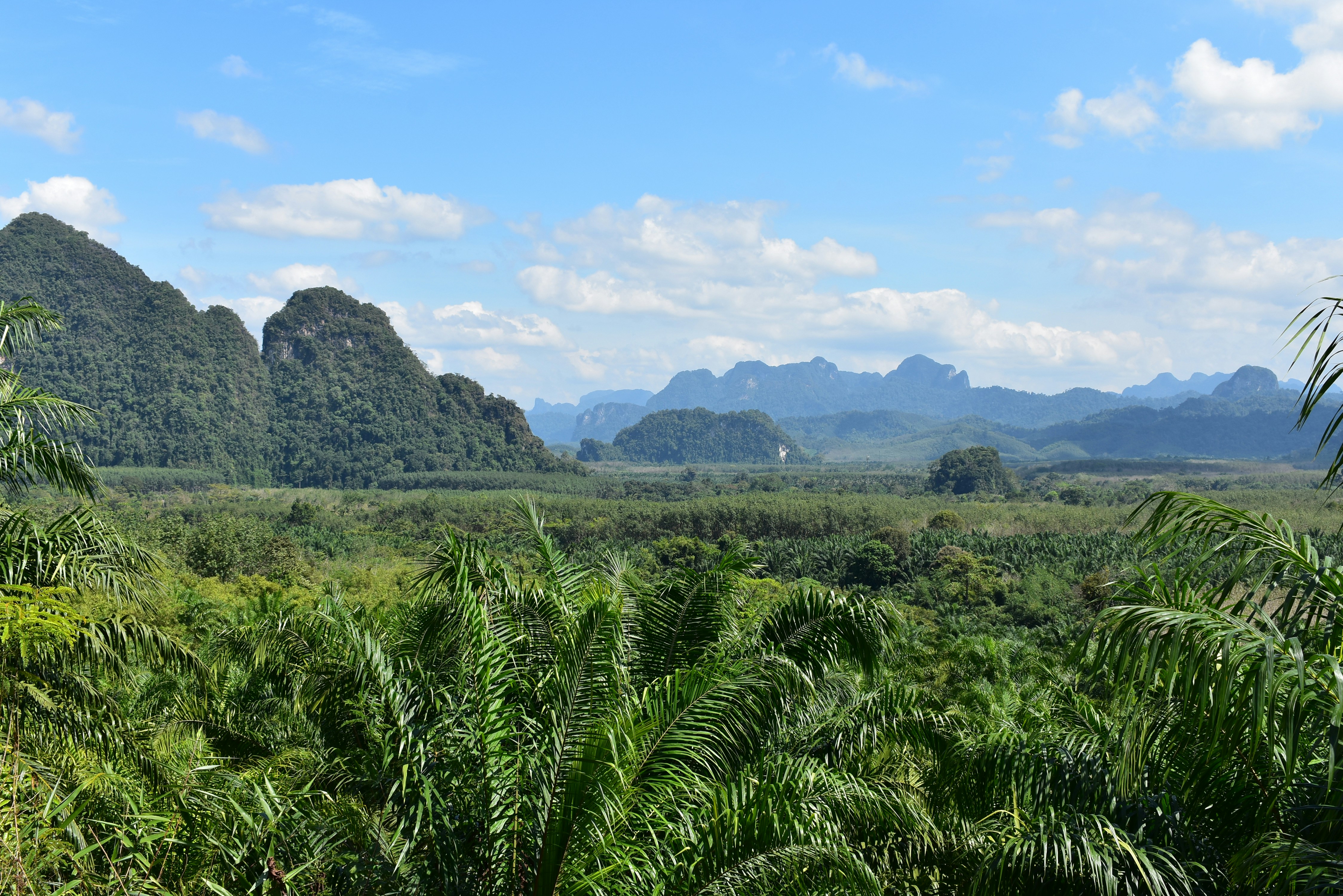 Lush green foliage in the foreground transitions into majestic mountains under a clear blue sky, showcasing a tranquil natural landscape.