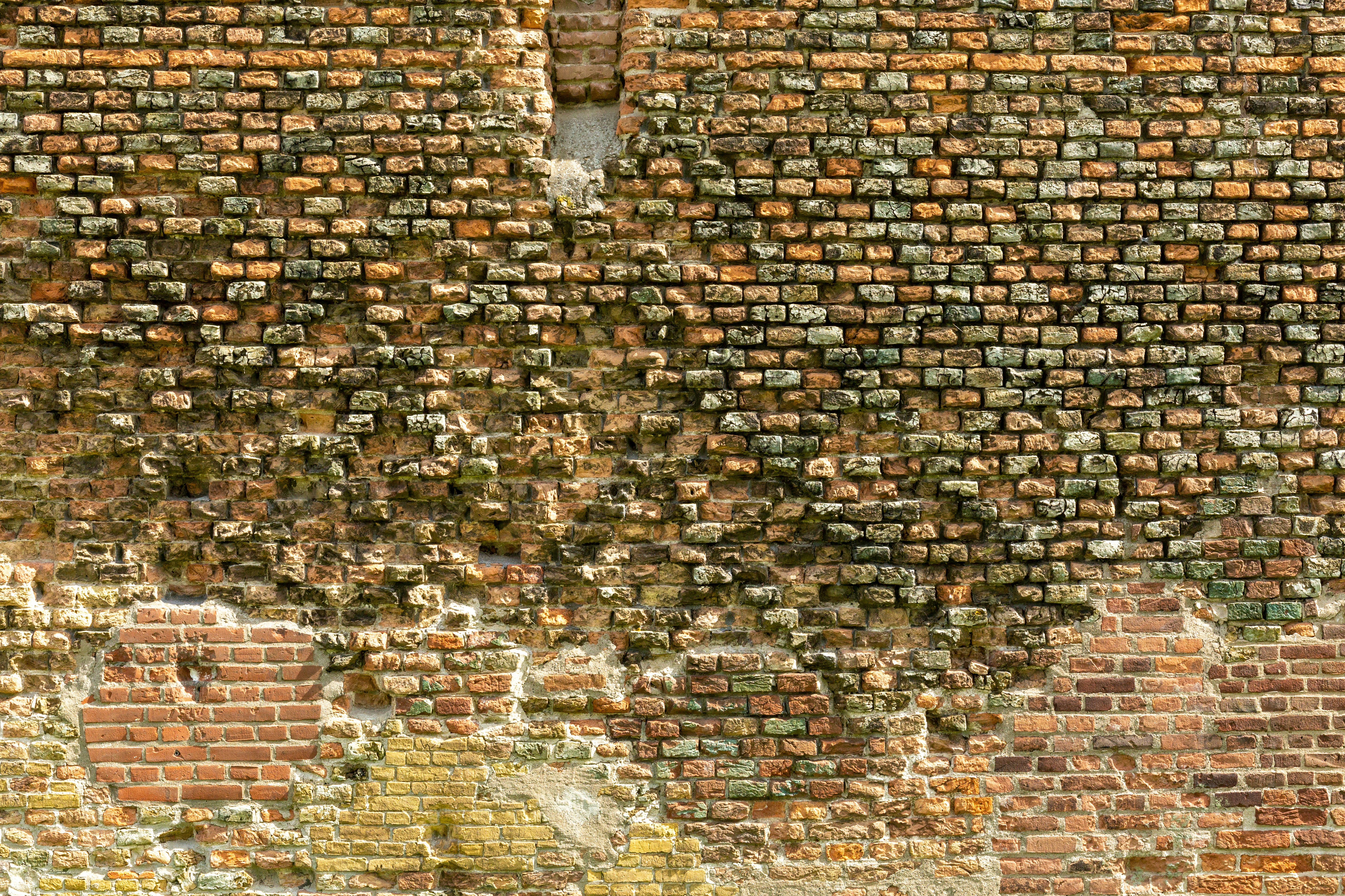 Textured wall showcasing a blend of aged bricks and moss, revealing layers of history and decay.