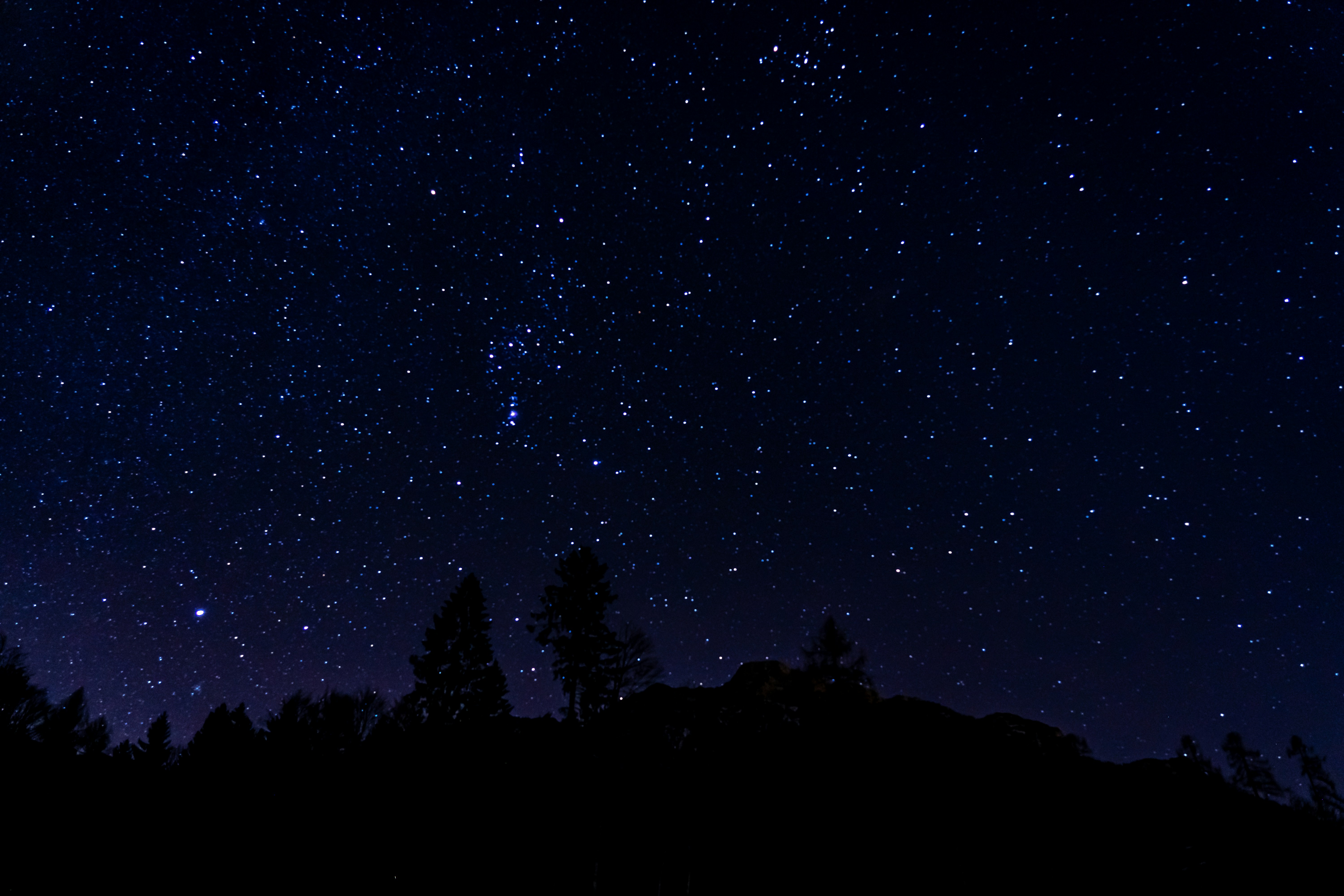 Star-filled night sky above darkened forest silhouette.