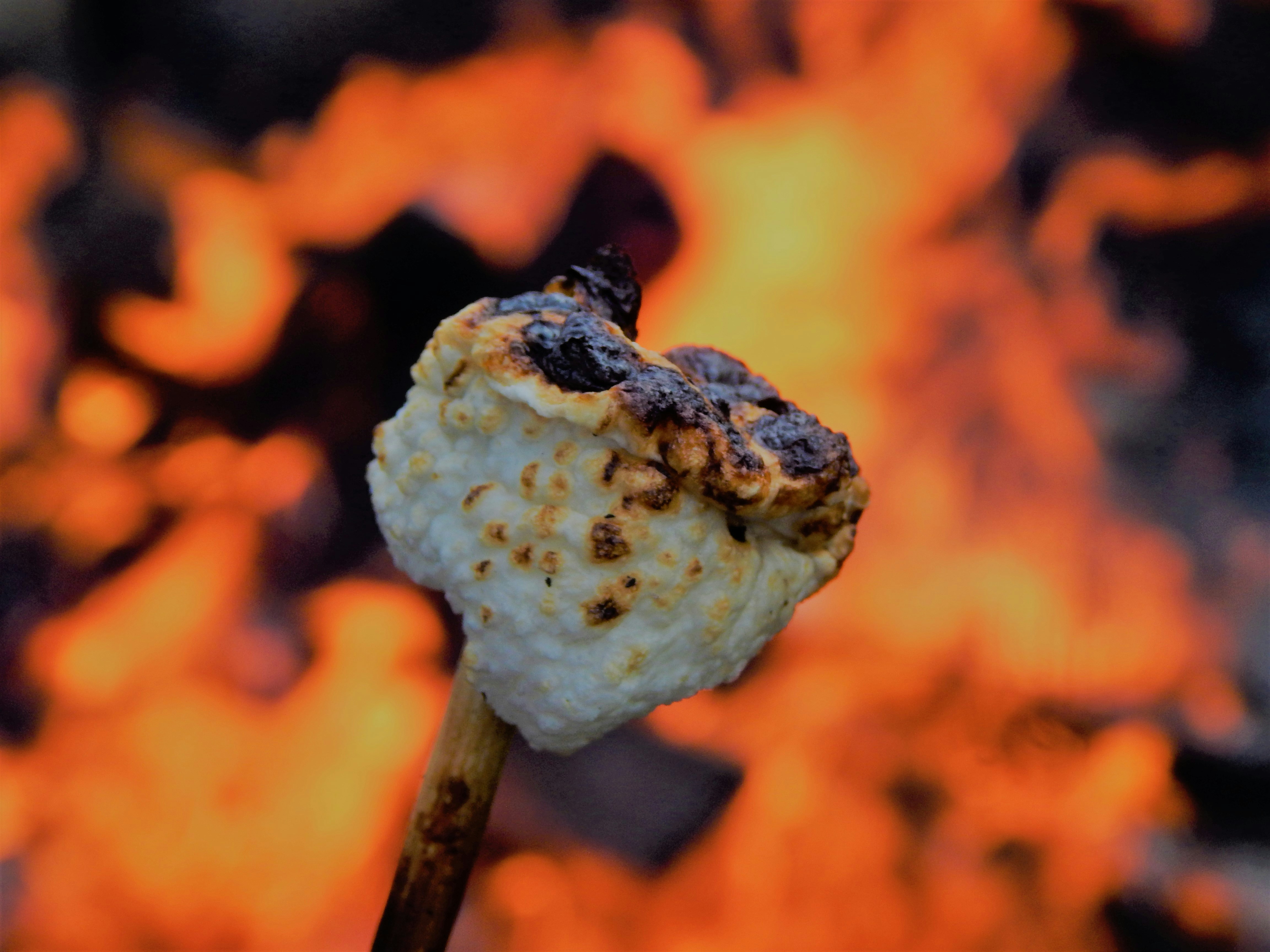 Flame-Forged Focus: Marshmallow Hero Against a Sea of Fire