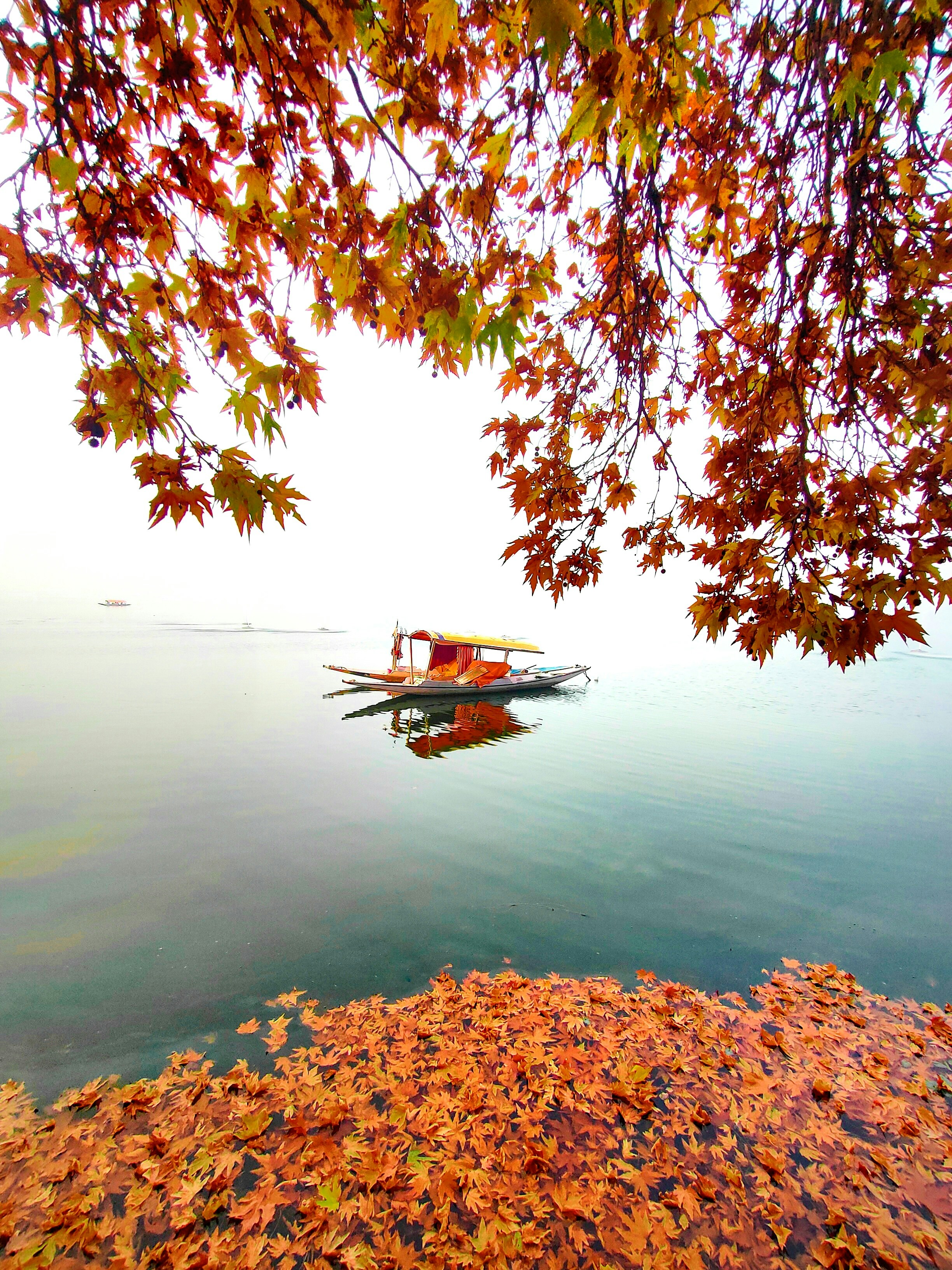 A traditional boat glides across calm waters, surrounded by vibrant autumn leaves, creating a serene atmosphere. The scene captures the essence of fall with its warm colors and peaceful setting.