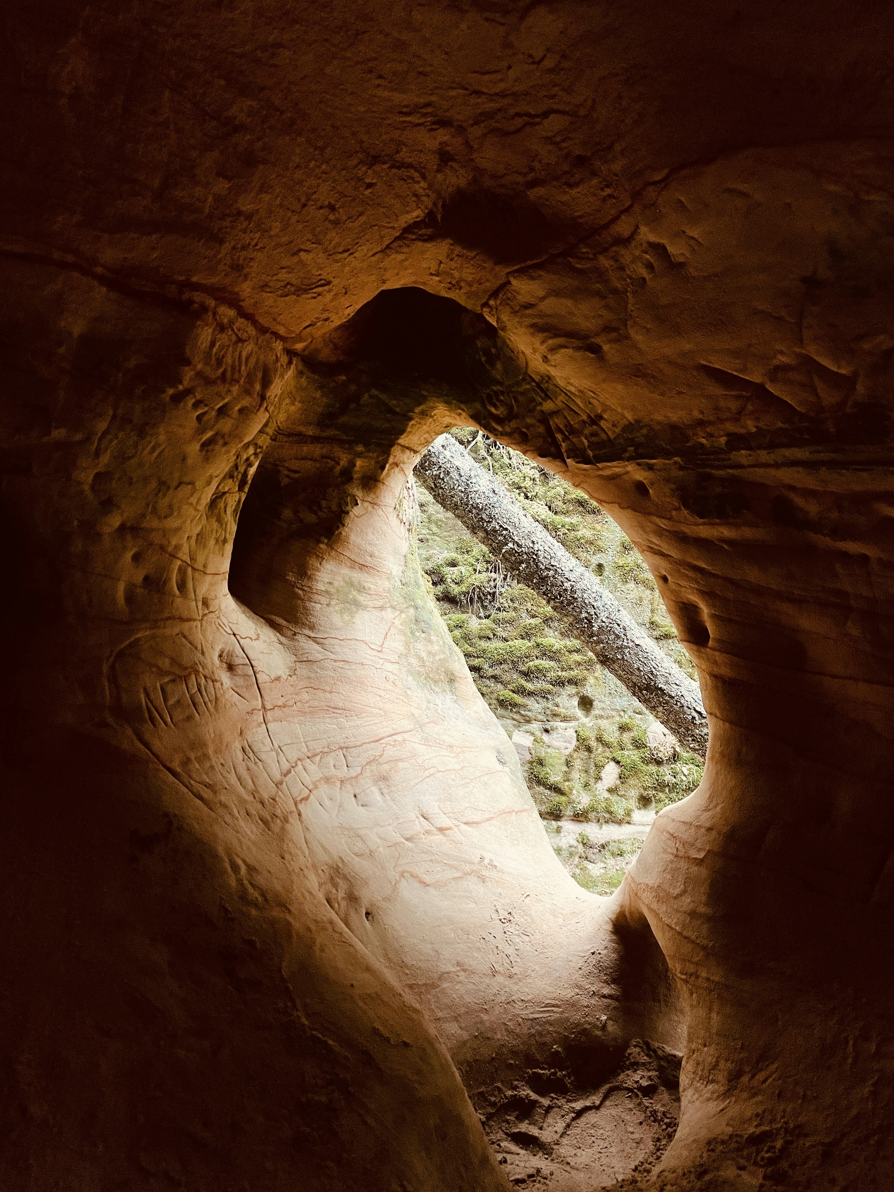 A view of the inside of a cave photo – Free Brown Image on Unsplash