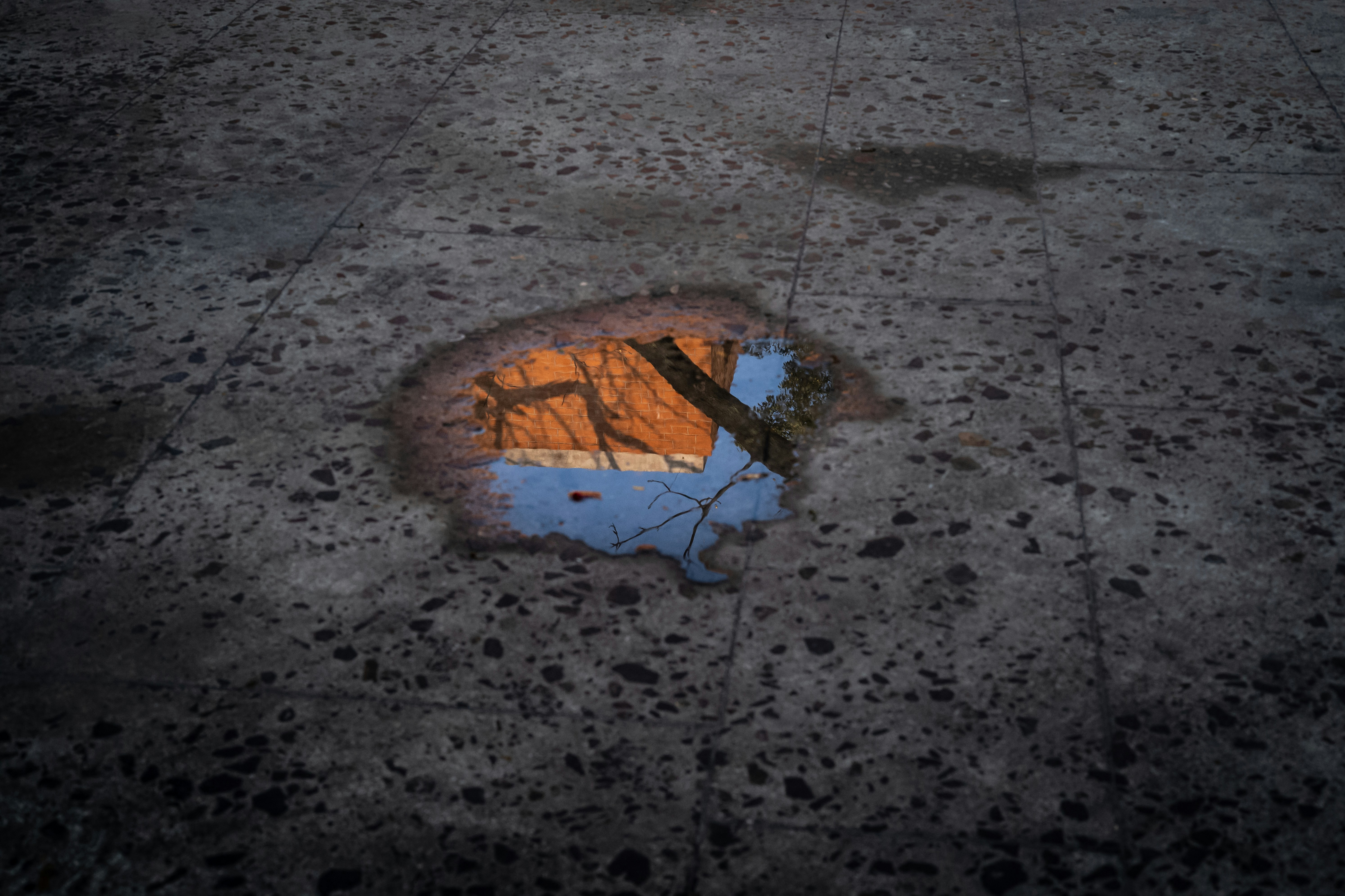 Une flaque d’eau avec le reflet d’un arbre photo – Photo Flaque ...