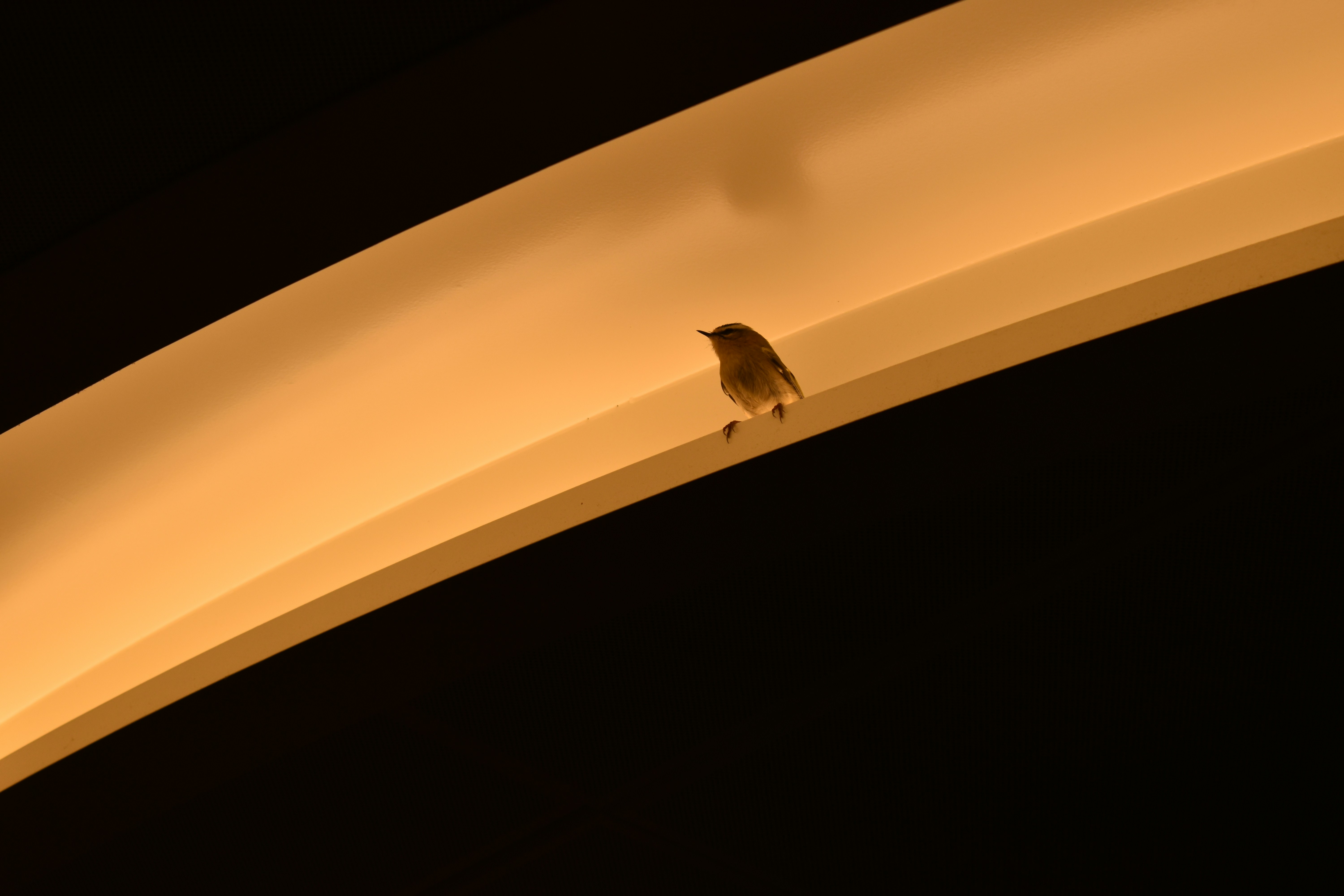 Tiny silhouette on a sunlit amber arch