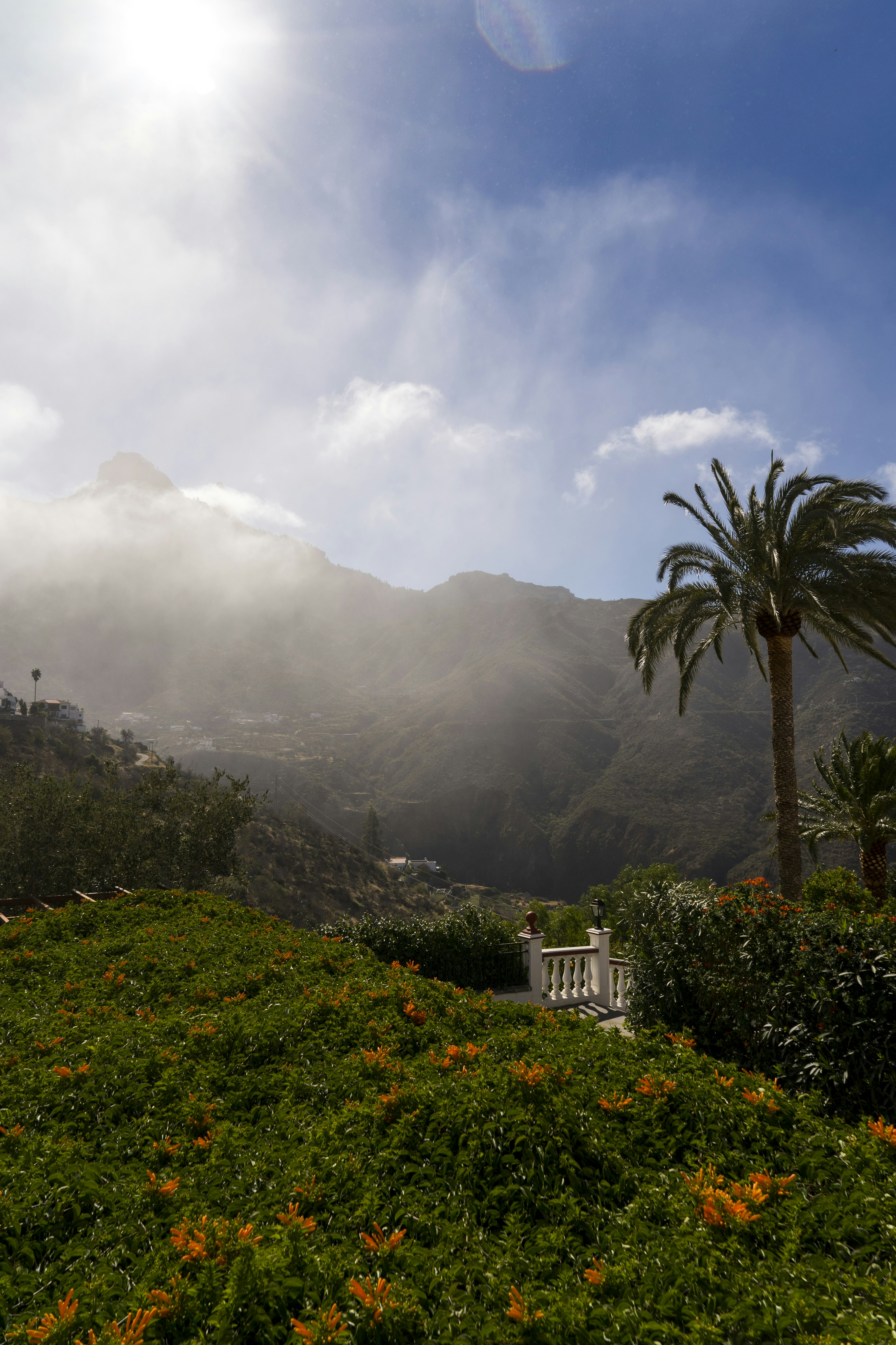 beautiful garden overlooks a water splashed mountain valley - insta(ryanfhogg)