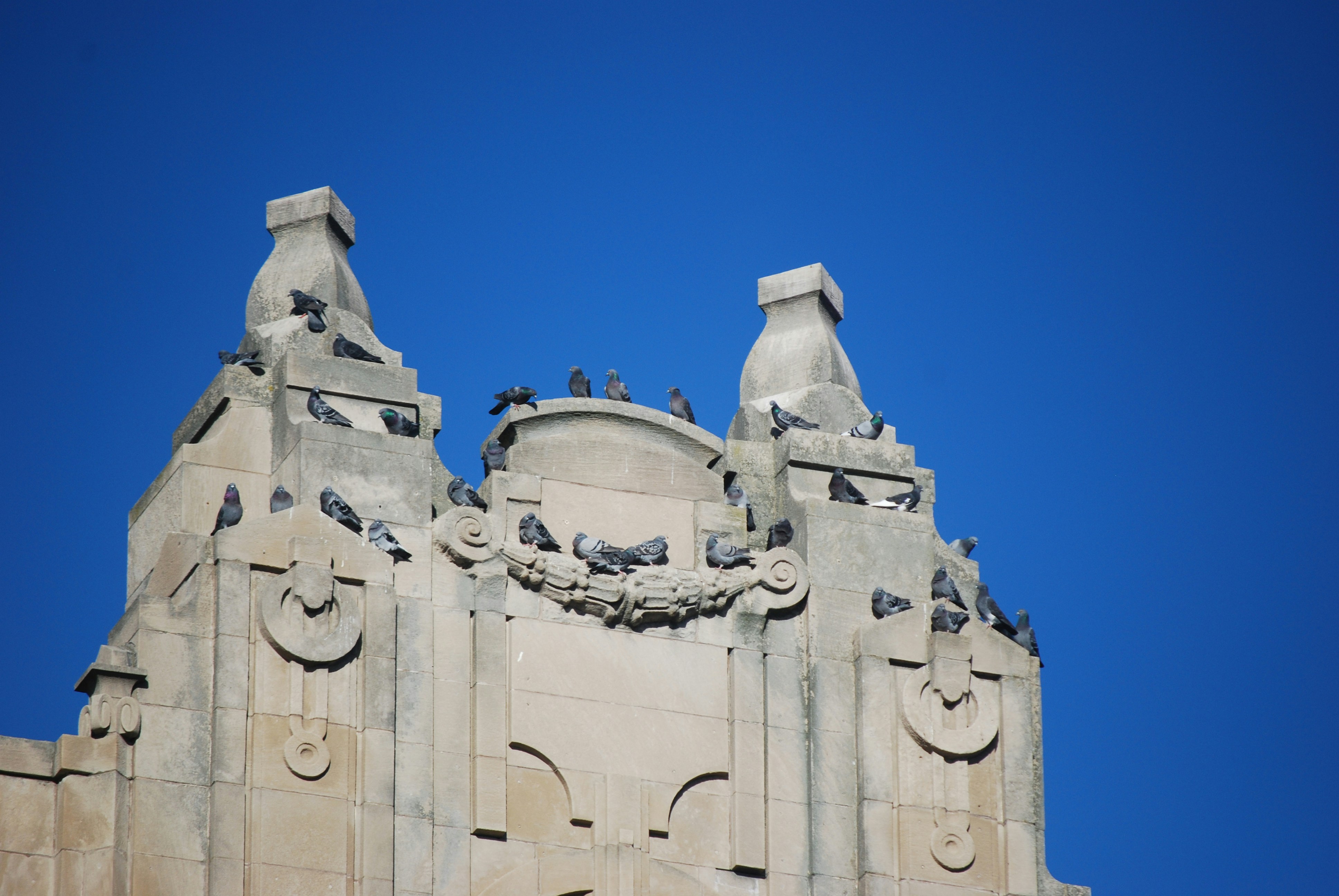 Pigeons perched atop an ornate building against a clear blue sky.