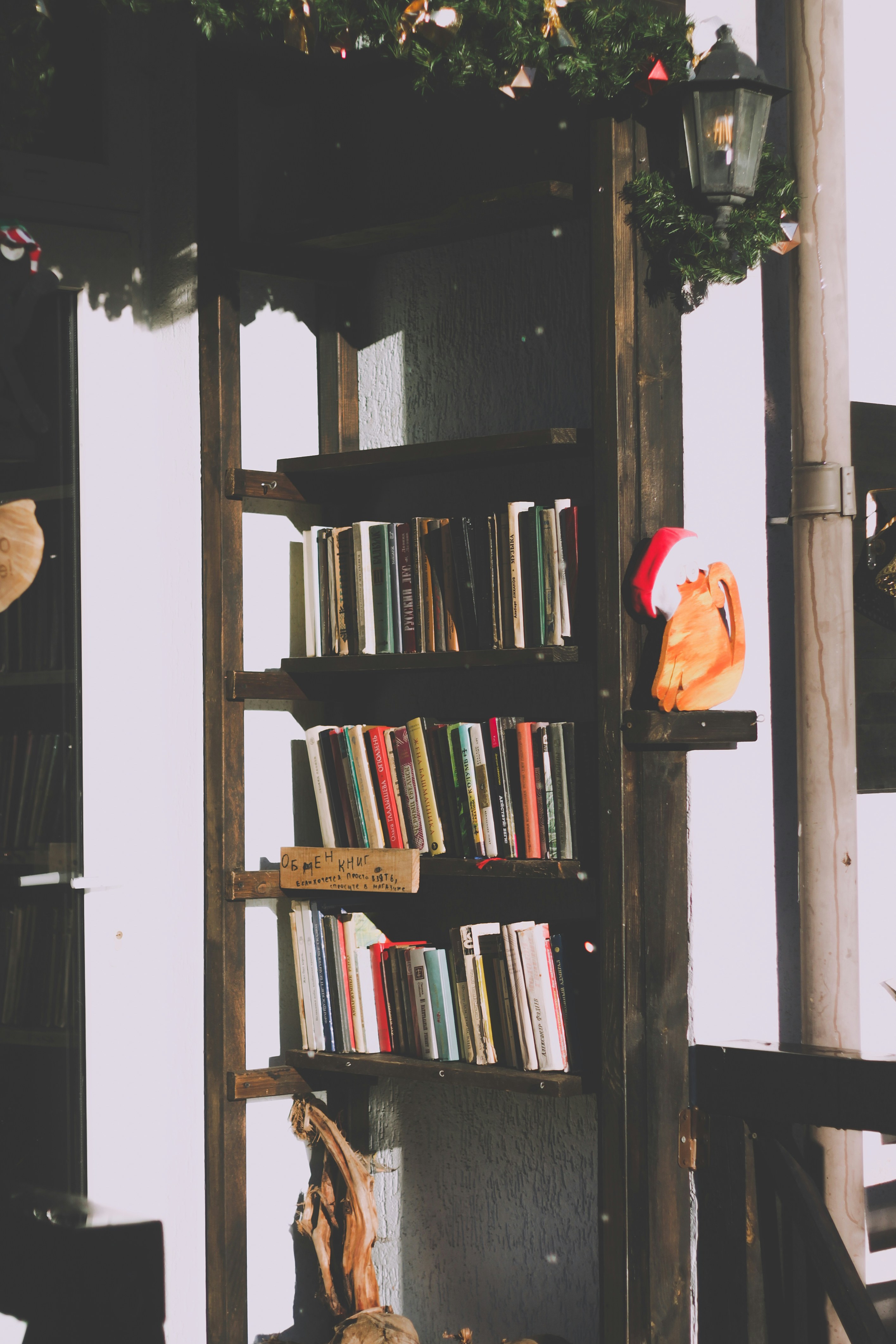 a bookshelf filled with lots of books next to a christmas tree
