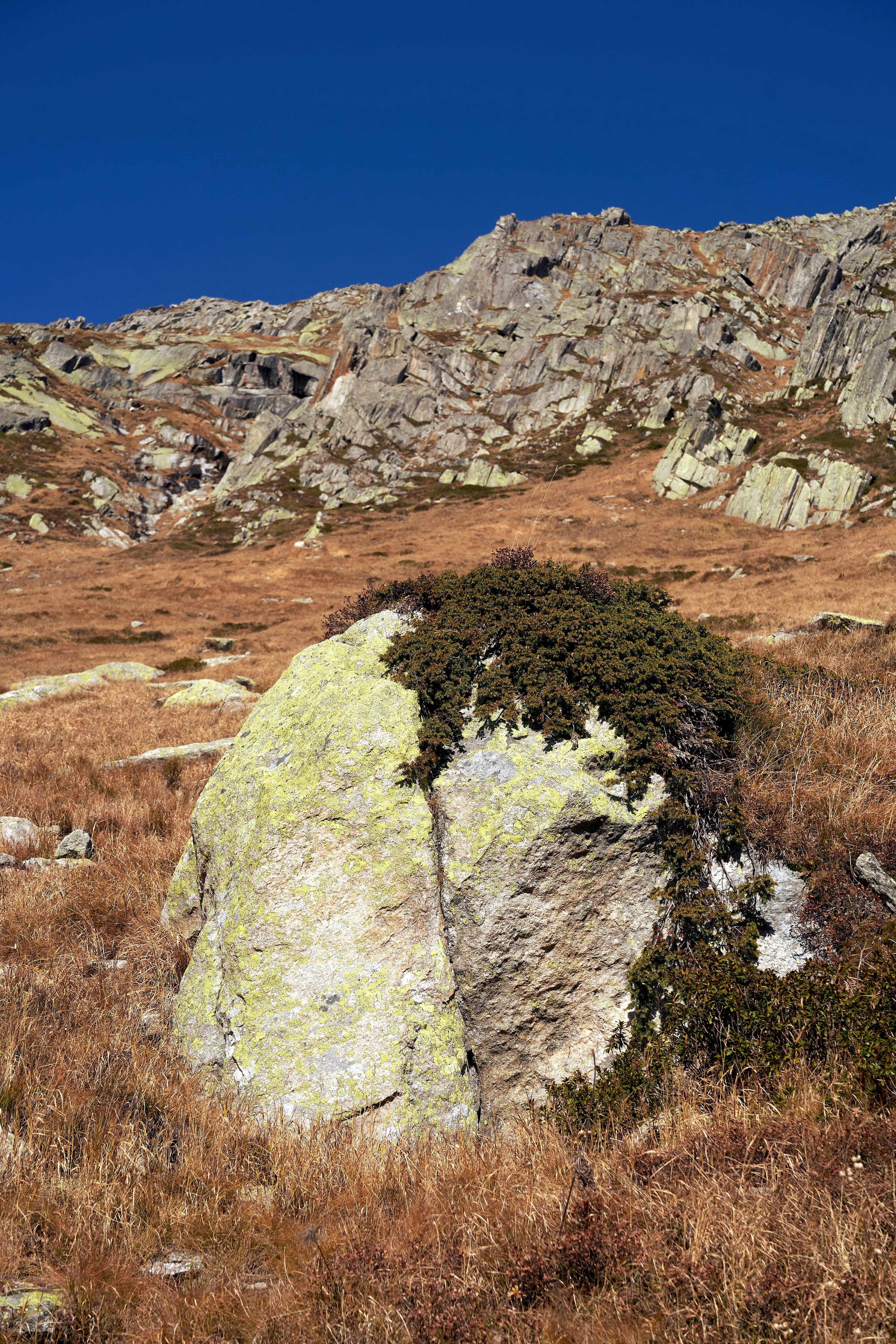 Un gros rocher au milieu d’un champ photo – Photo La nature Gratuite ...