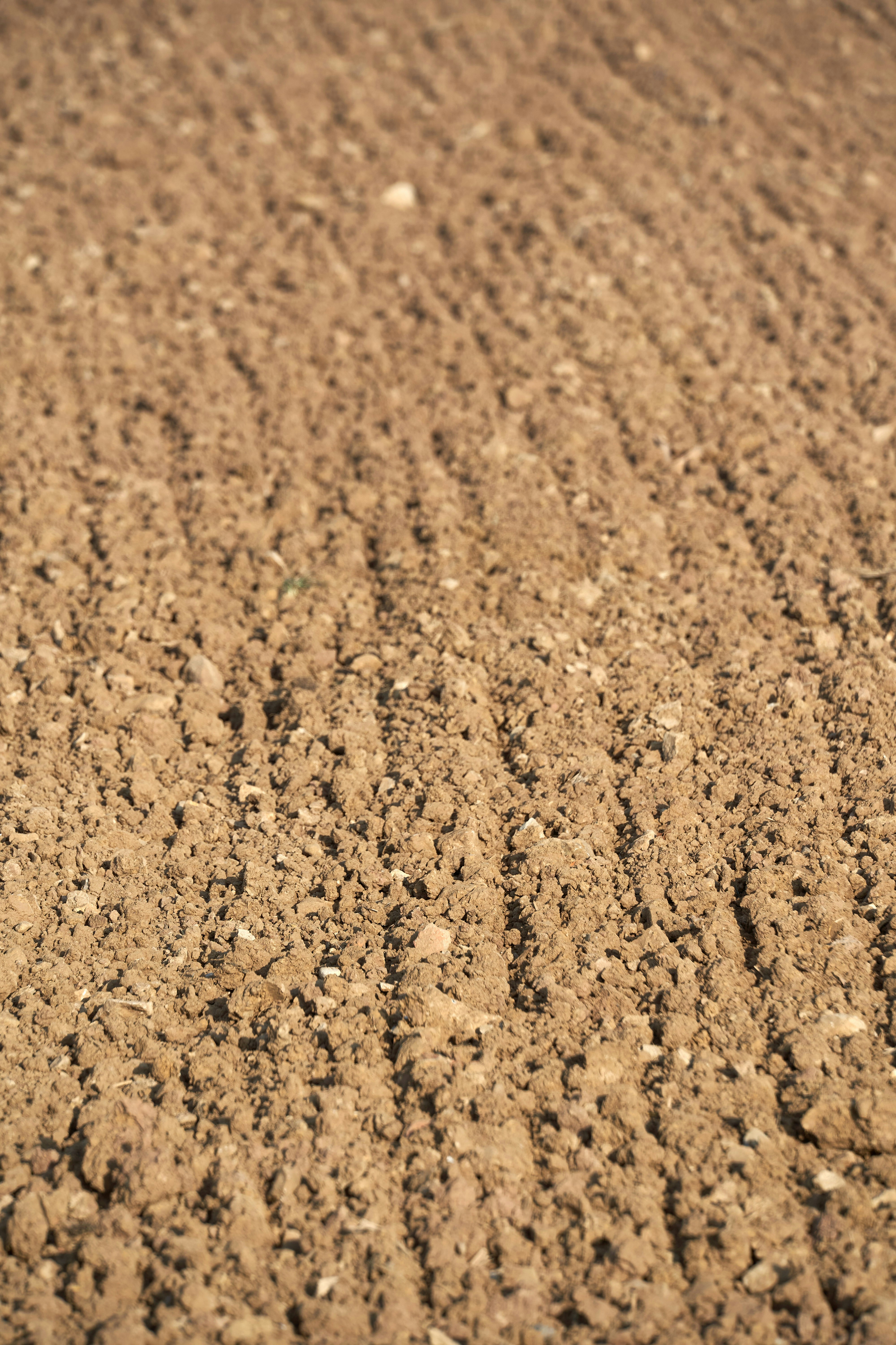 Une batte de baseball posée sur un terrain de terre battue photo ...