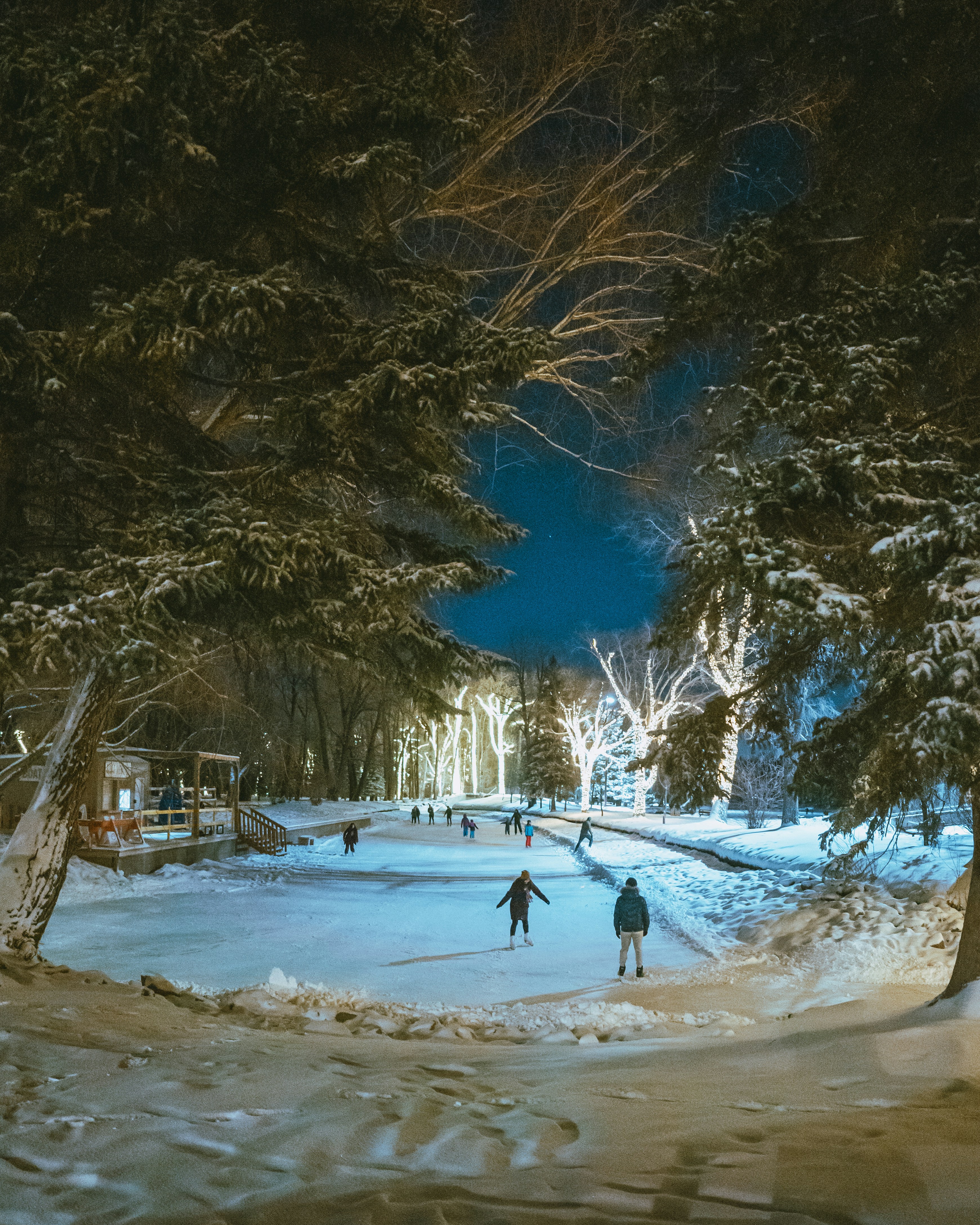 A group of people riding skis down a snow covered slope photo – Free ...