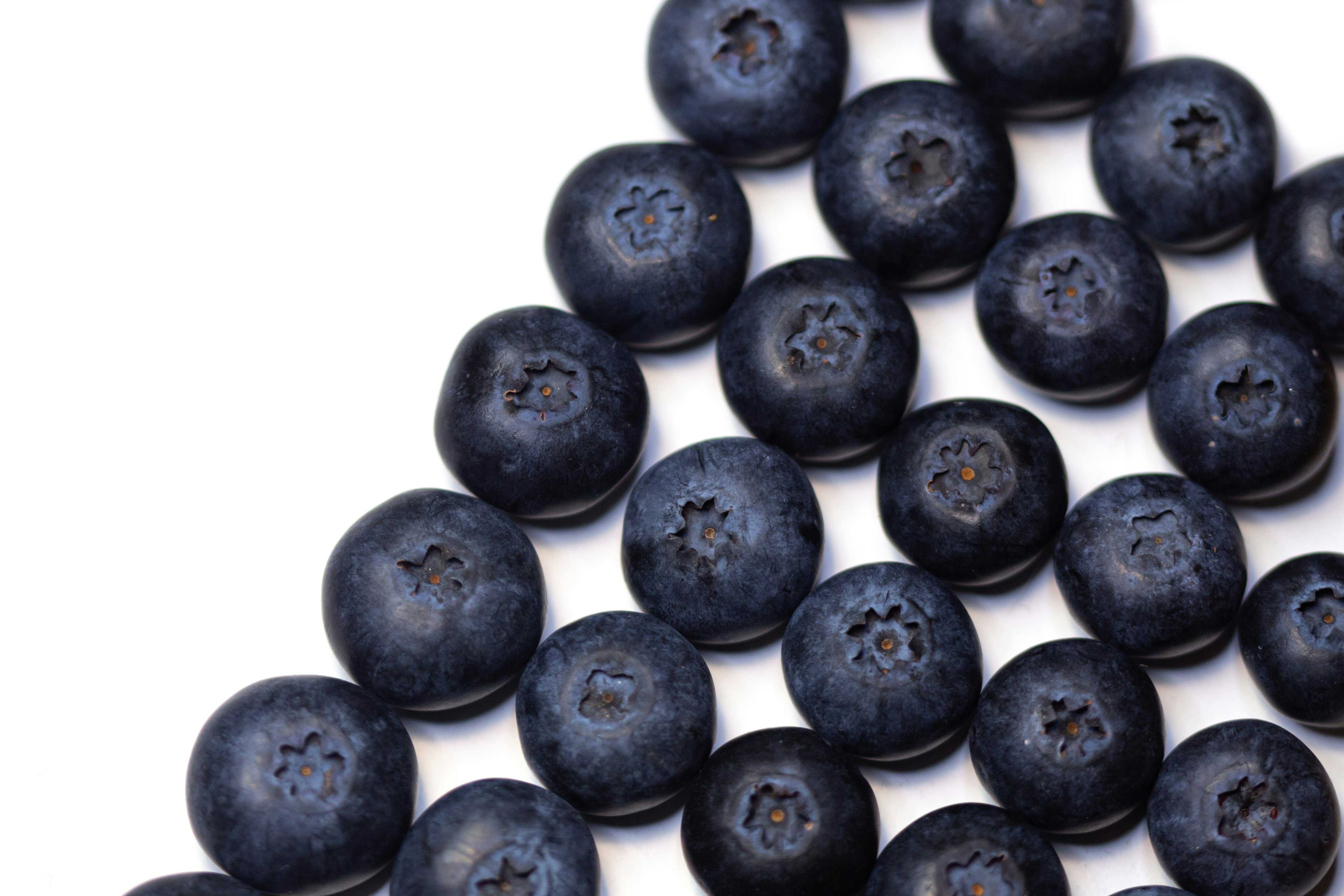 Diagonal Quilt of Blue: Close-Up Blueberries