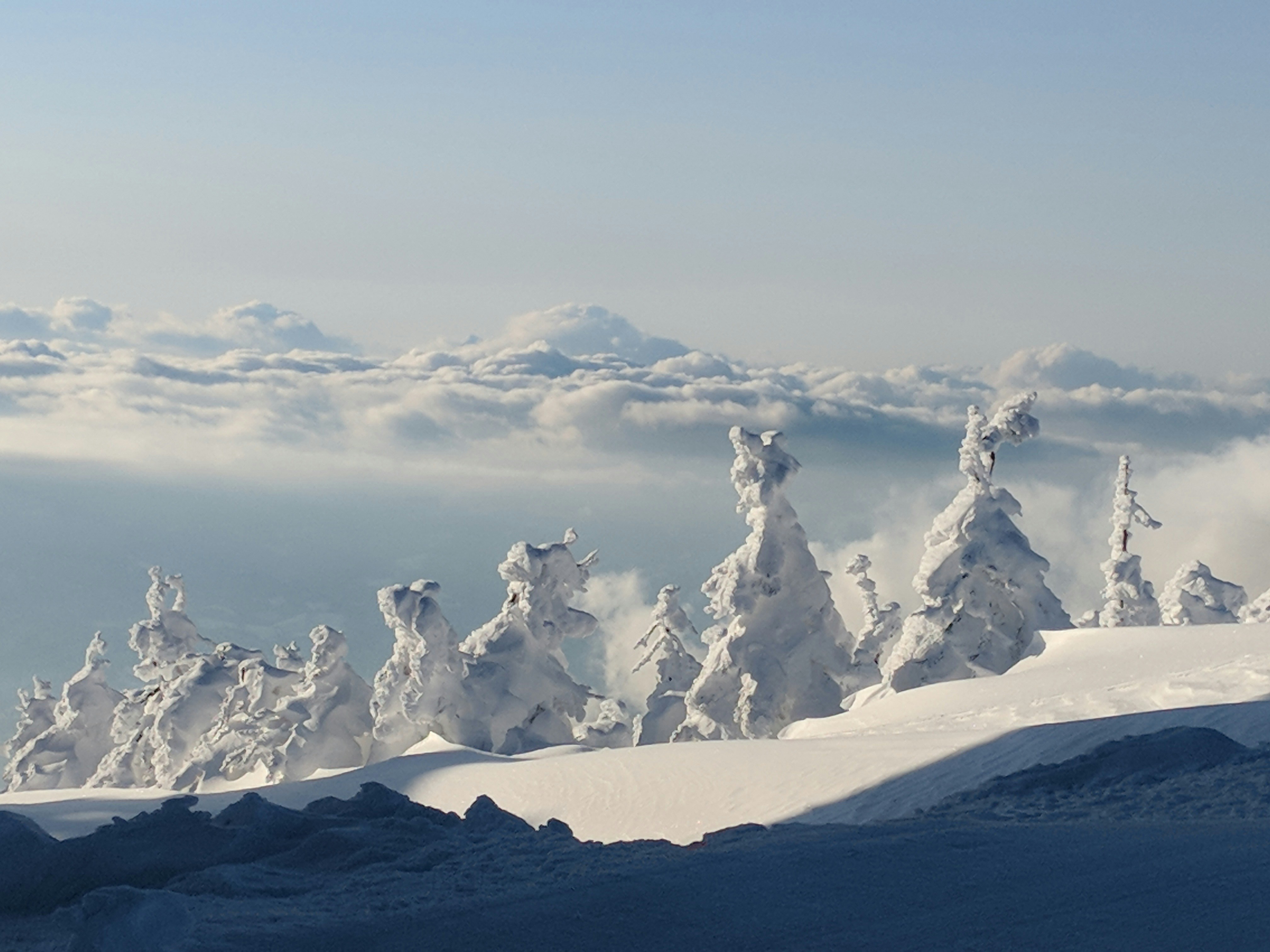 Snow-laden trees resembling ghostly figures stand against a backdrop of distant mountains and a pale blue sky.