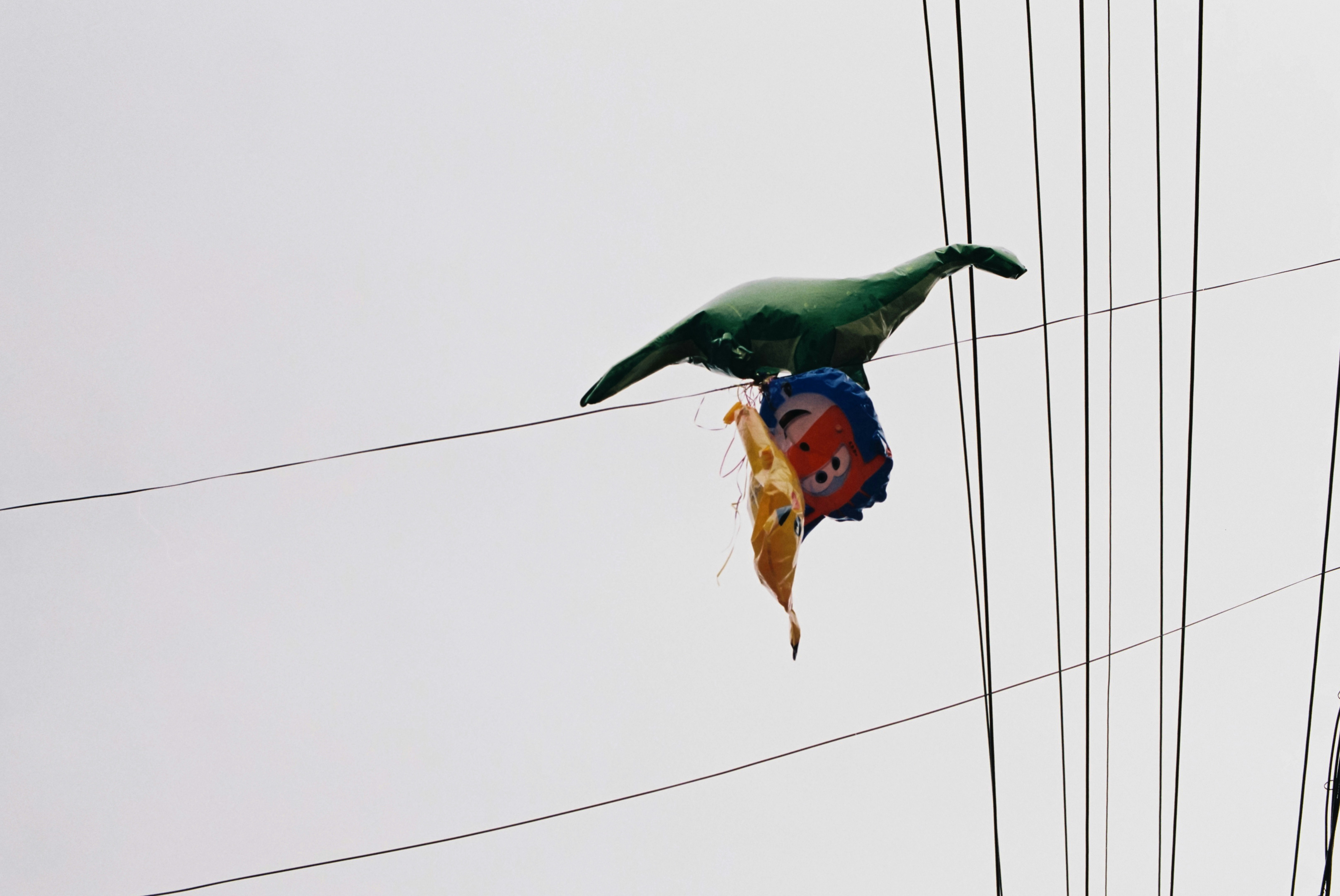 A green balloon shaped like a bird is entangled with a yellow balloon featuring a cartoon character, hanging from power lines against a gray sky.