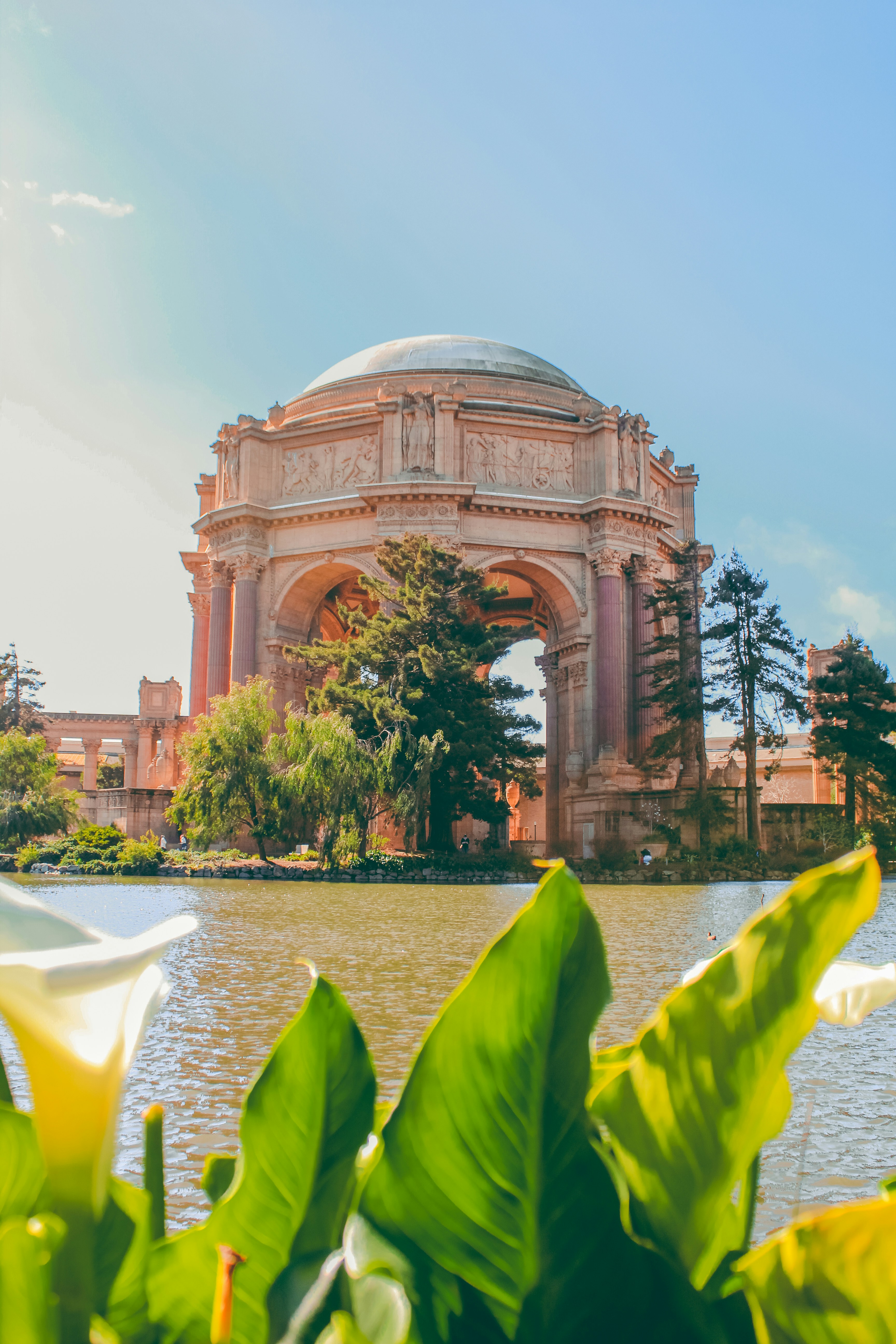 The Palace of Fine Arts stands majestically against a bright sky, framed by lush foliage and a serene pond.