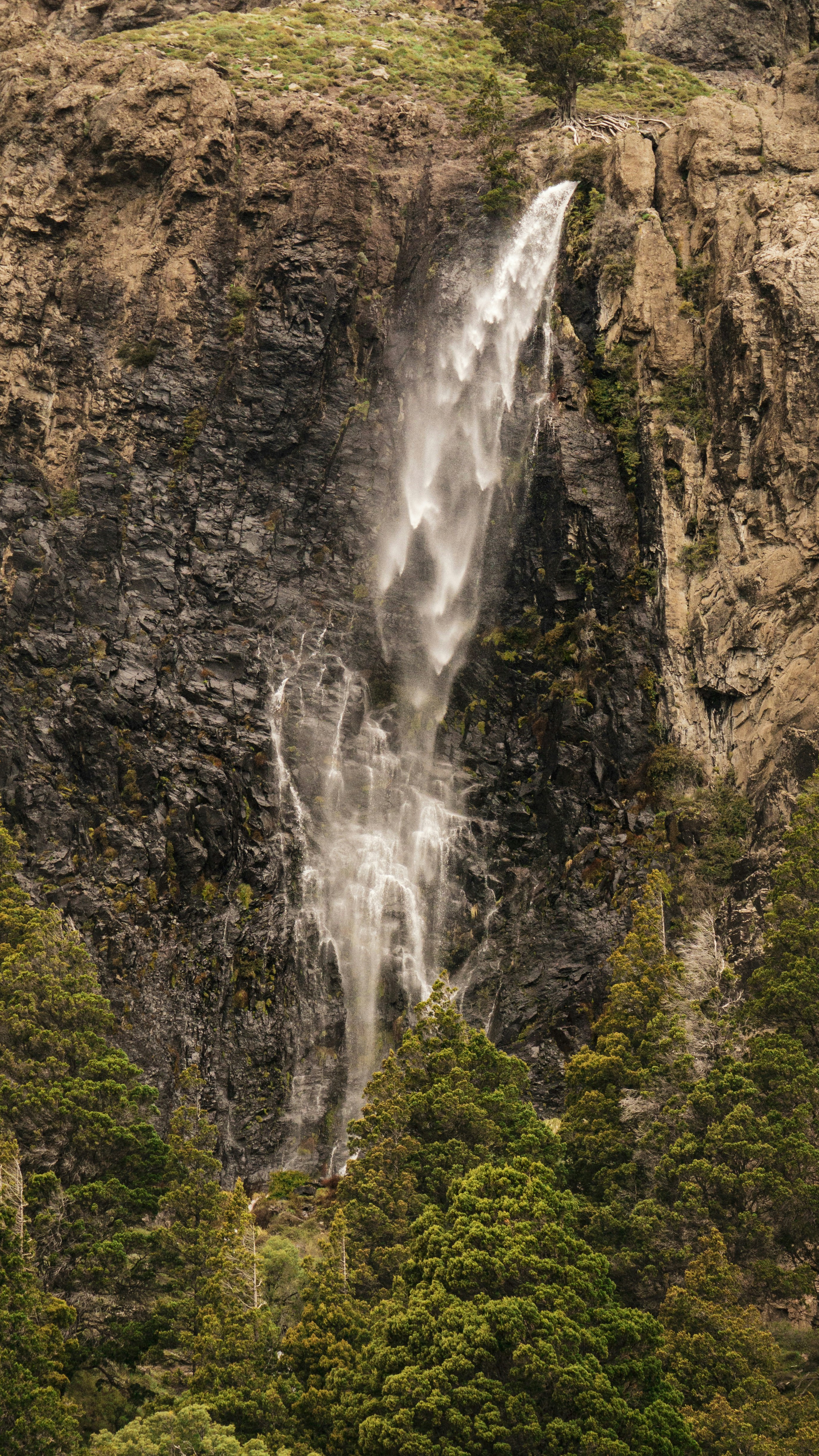 A very tall waterfall in the middle of a forest photo – Free River ...
