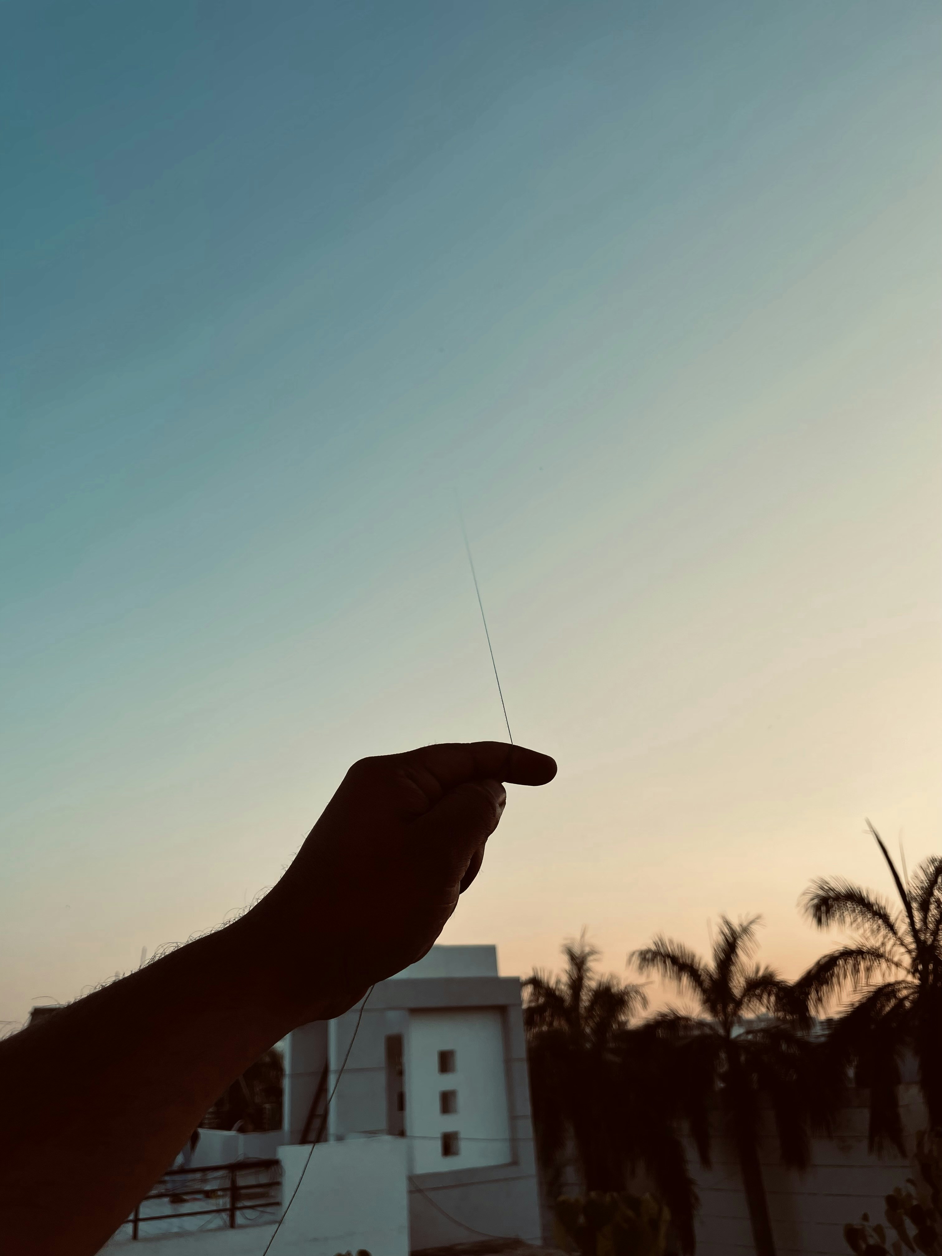 A slender tethered thread rises from a raised hand against a pastel sunset