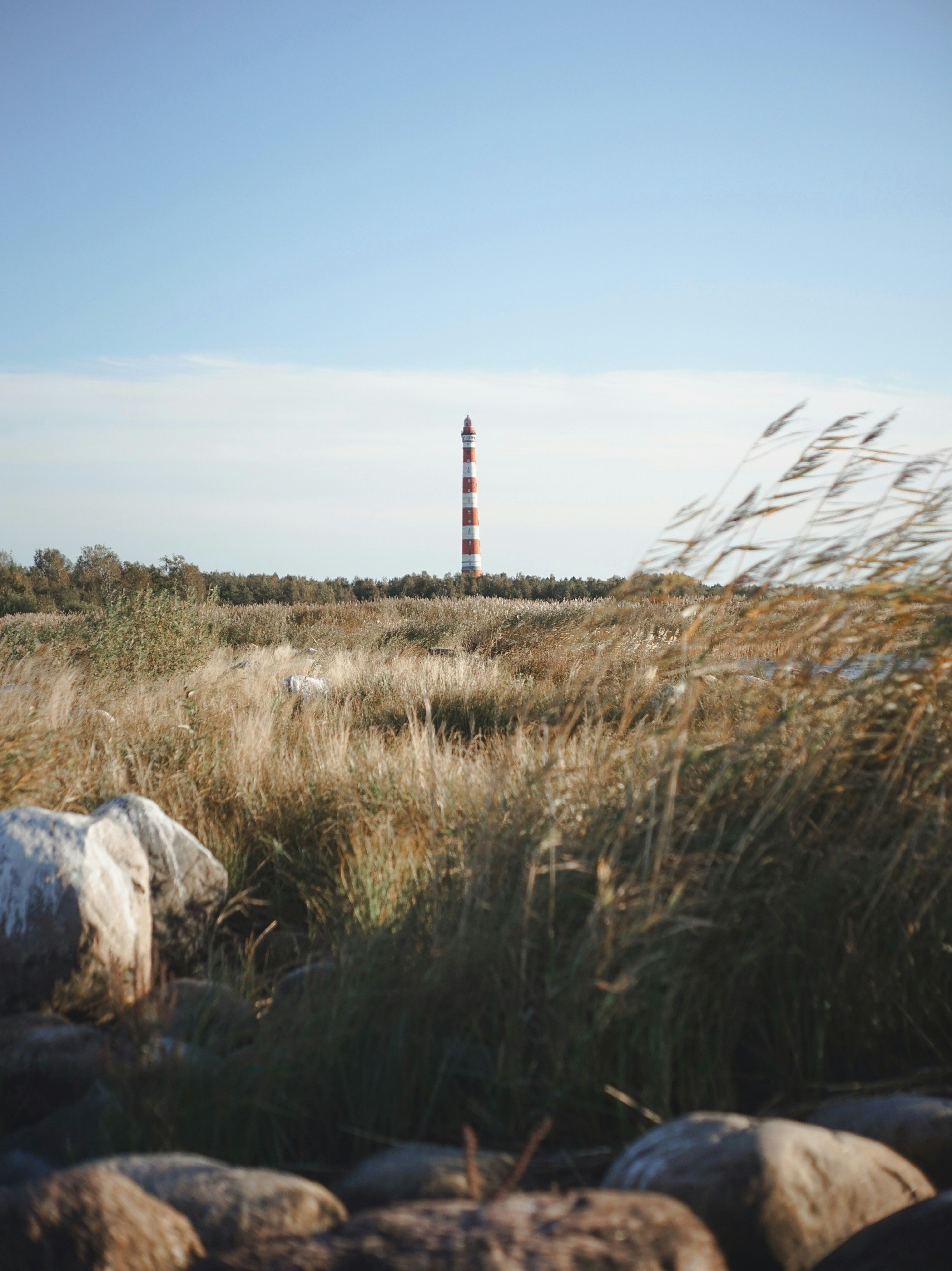 A tall striped lighthouse stands prominently against a backdrop of golden grasses and clear blue sky, symbolizing guidance and safety along the shoreline.