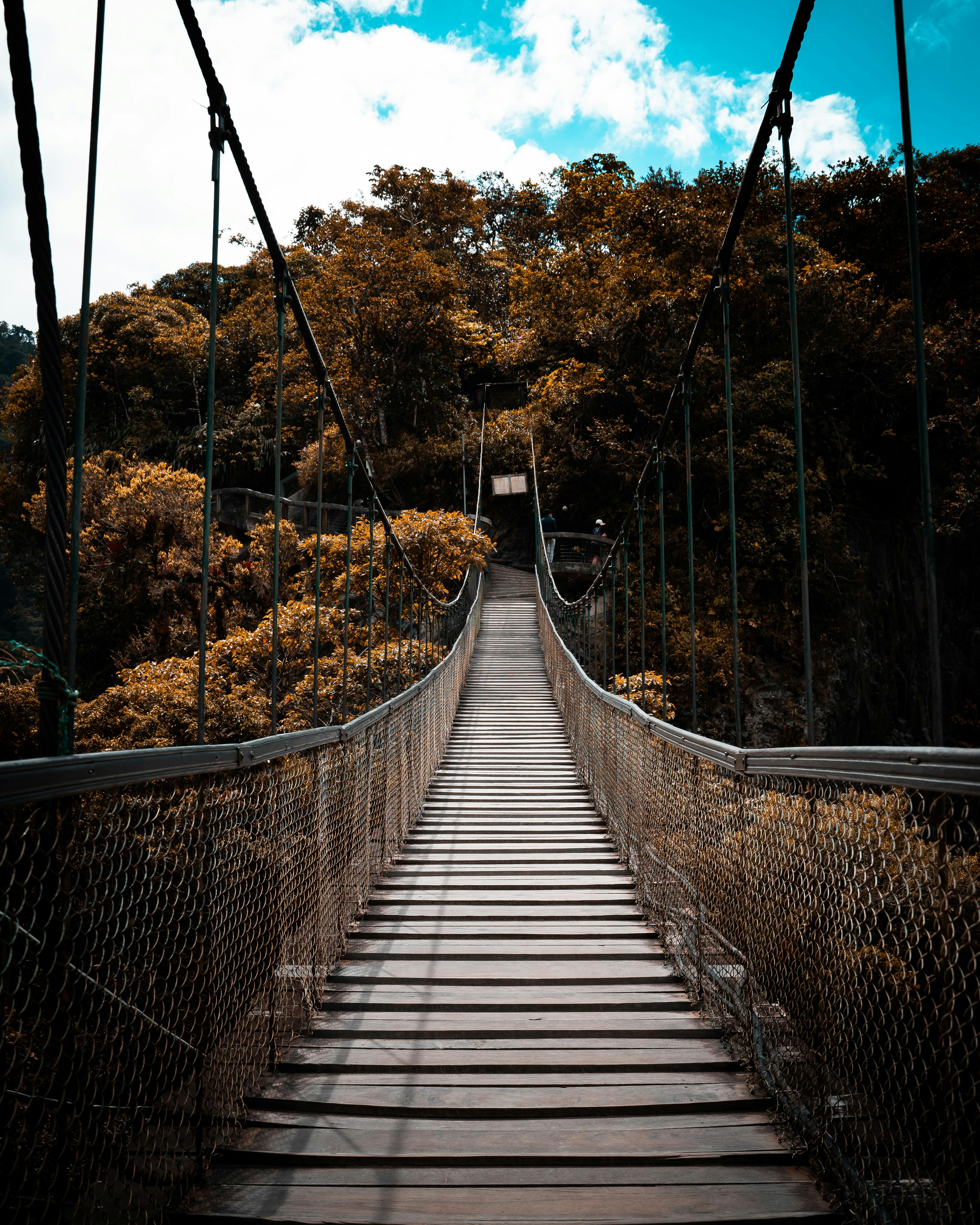 Un long pont suspendu au milieu d’une forêt photo – Photo Pont Gratuite ...