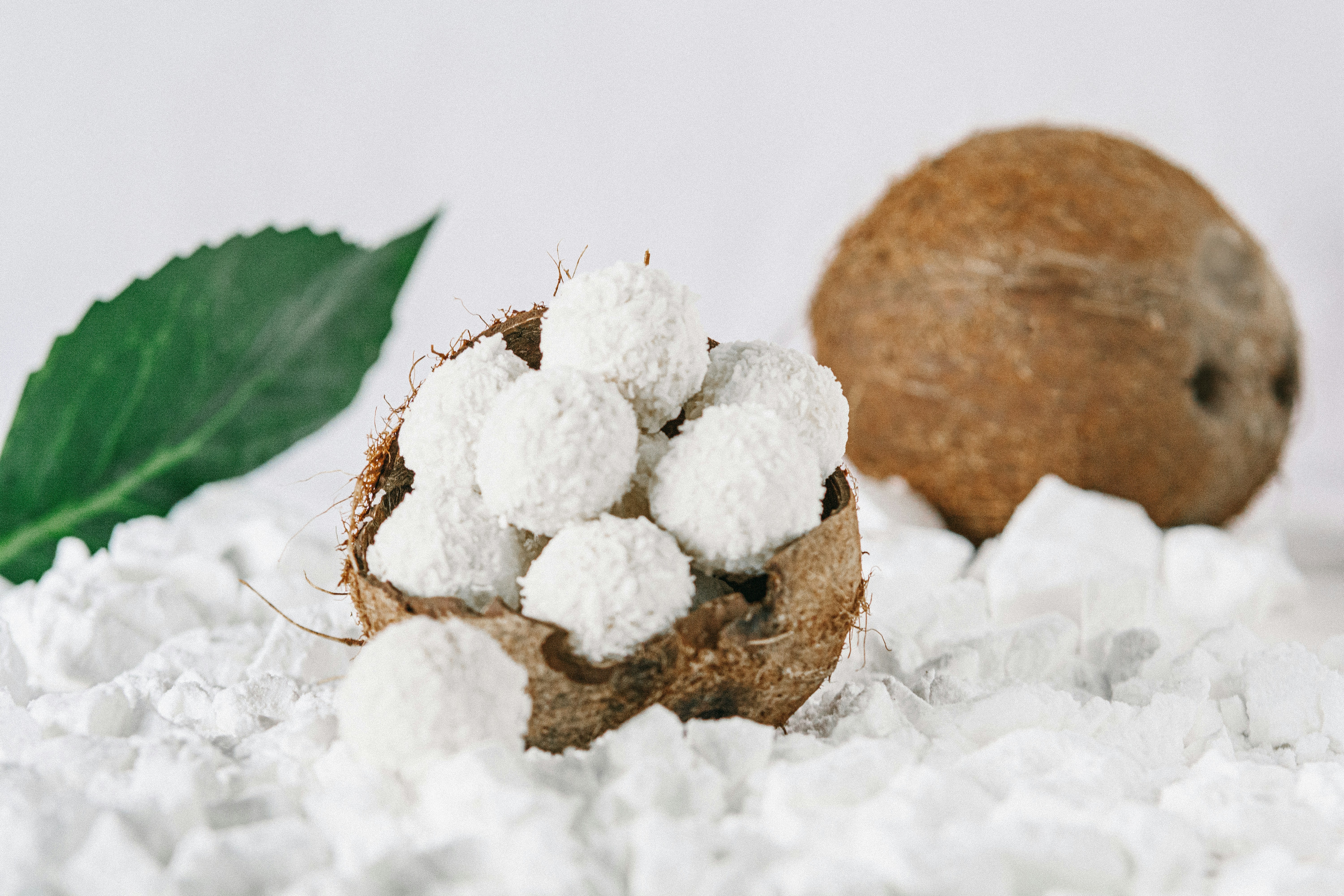 A coconut and a coconut shell on a bed of snow photo – Free Nature ...