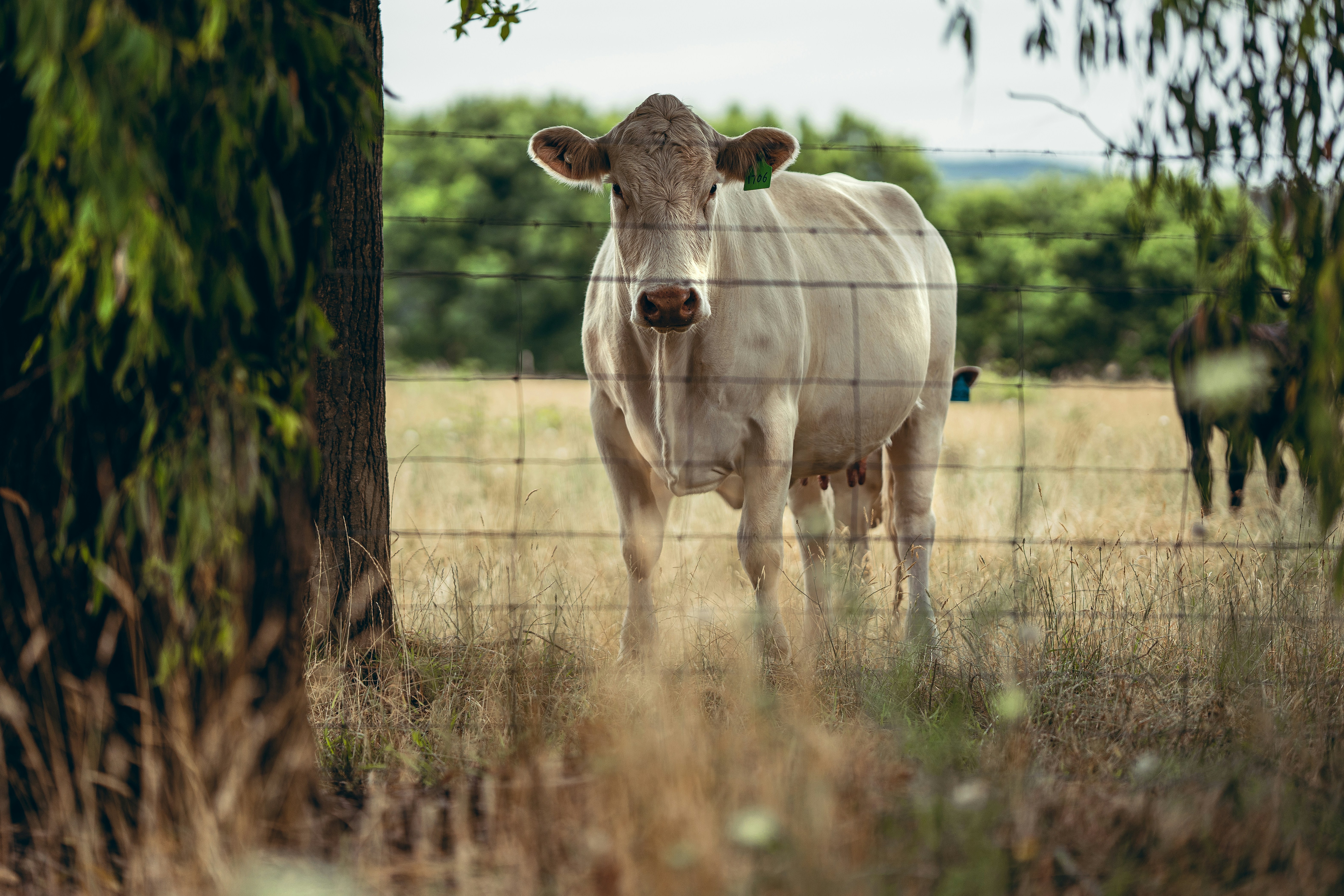Agrihood | Baiting Brook Farm