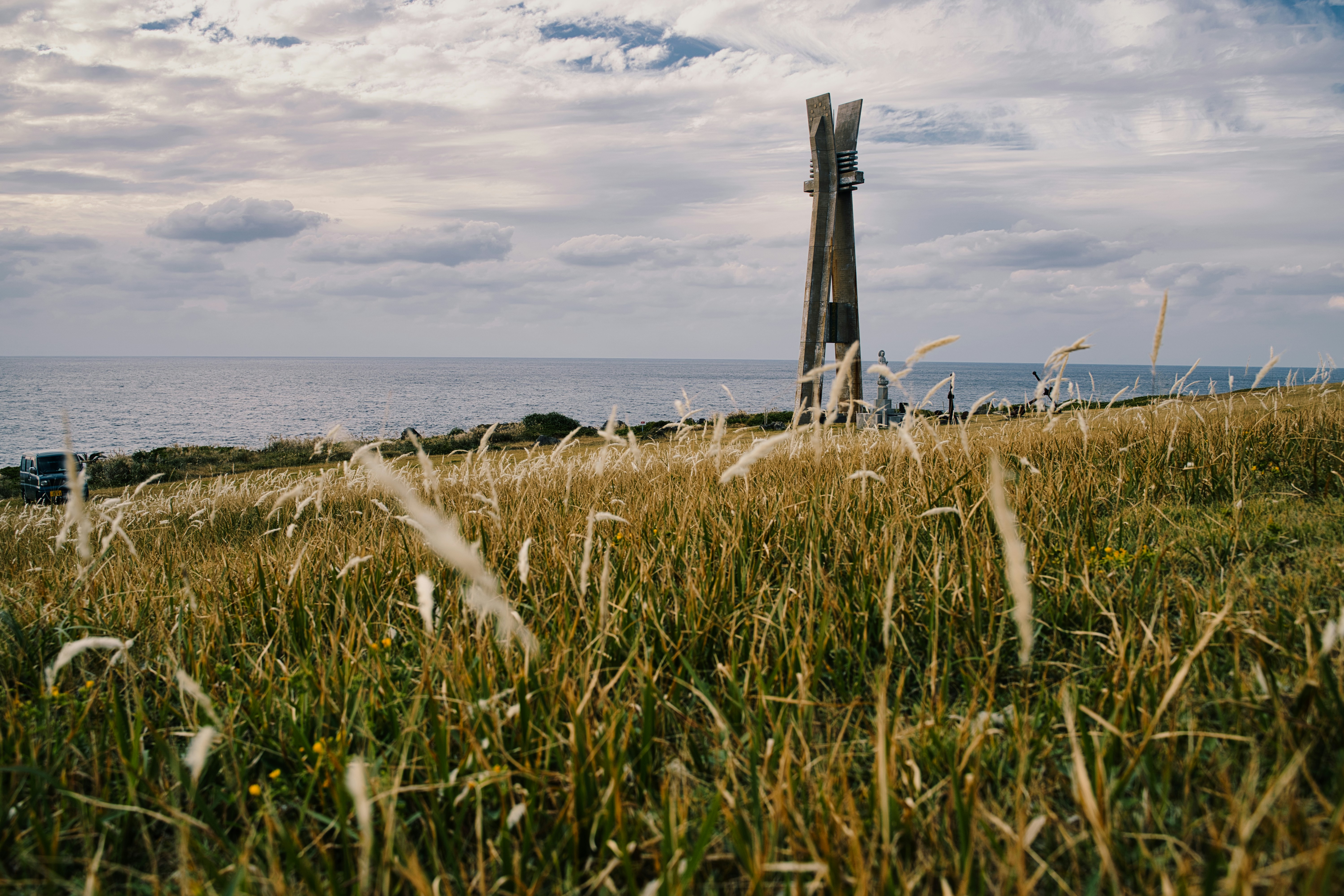 The Seaside Sentinel: Weathered Post in a Field of Wind-kissed Grass