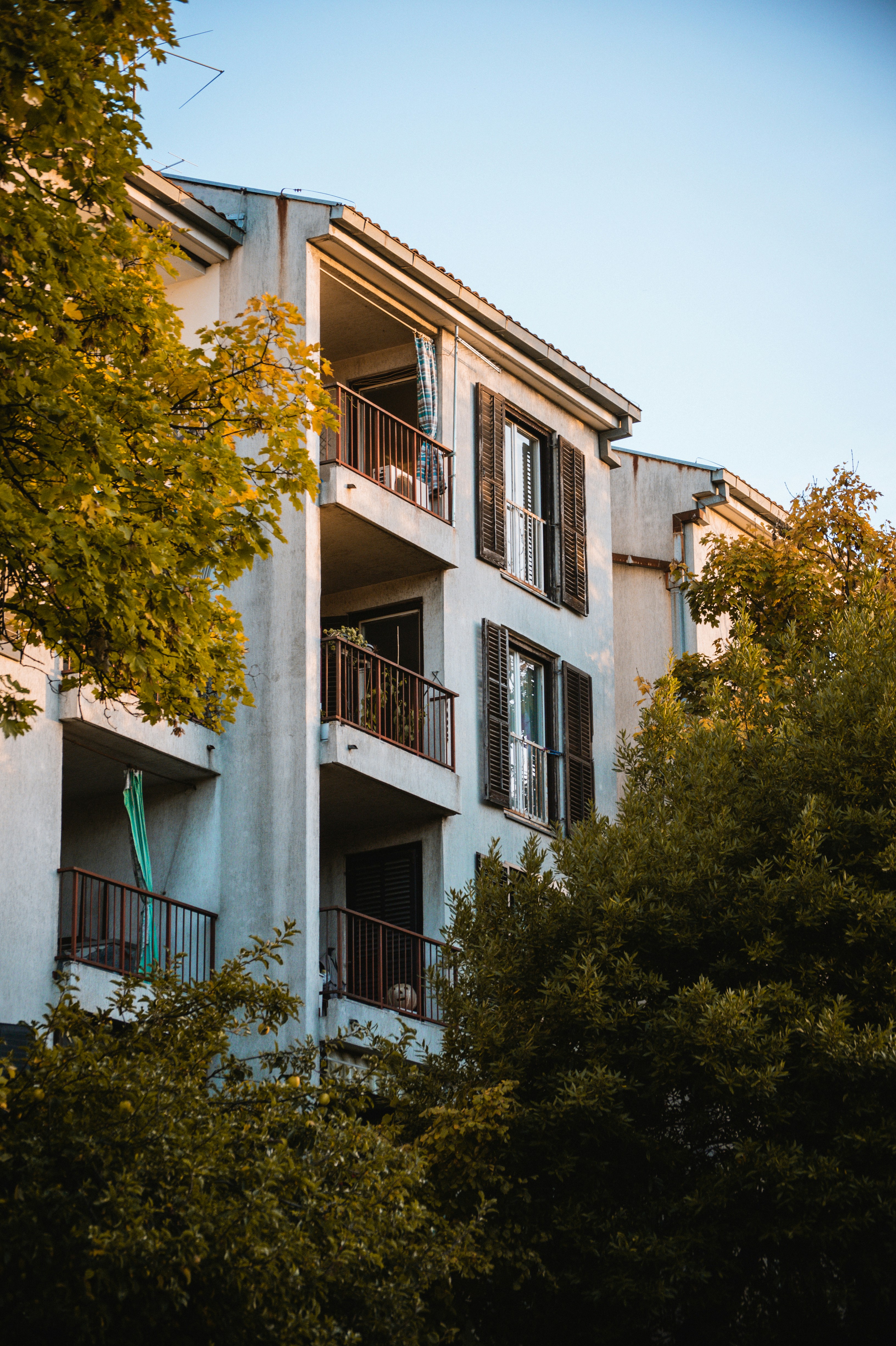 Modern apartment building partially obscured by lush greenery, showcasing balconies adorned with shutters. The scene captures a tranquil urban environment.