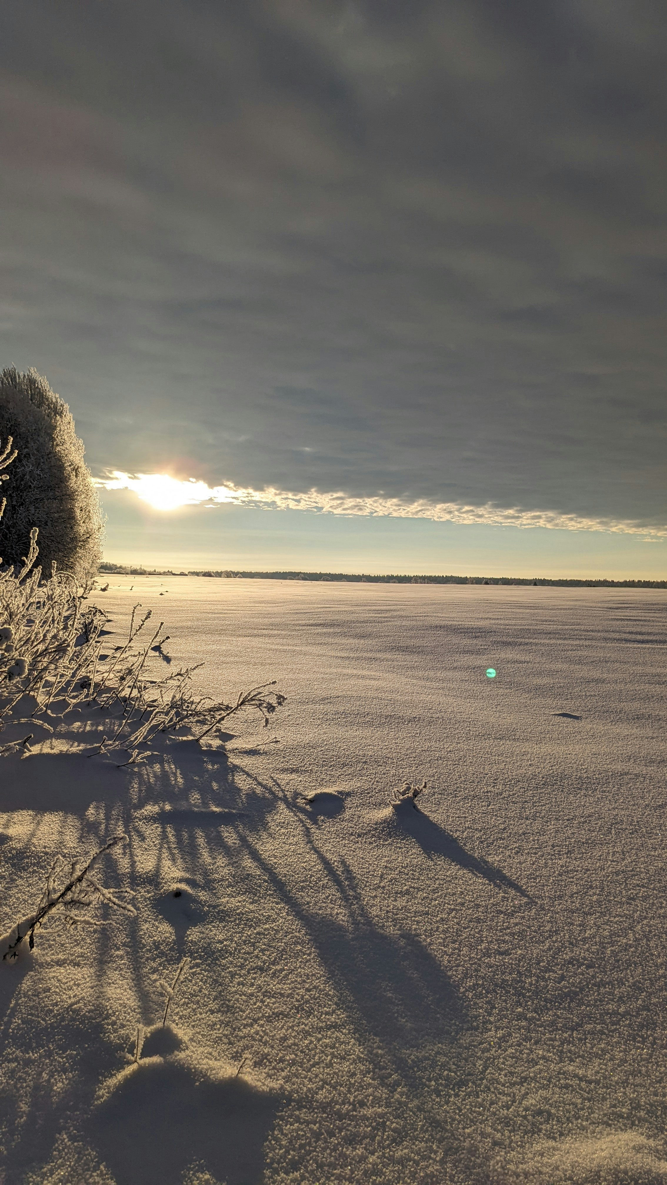 Soft sunlight breaking through a cloudy sky over a snow-covered landscape, casting long shadows on the pristine surface.