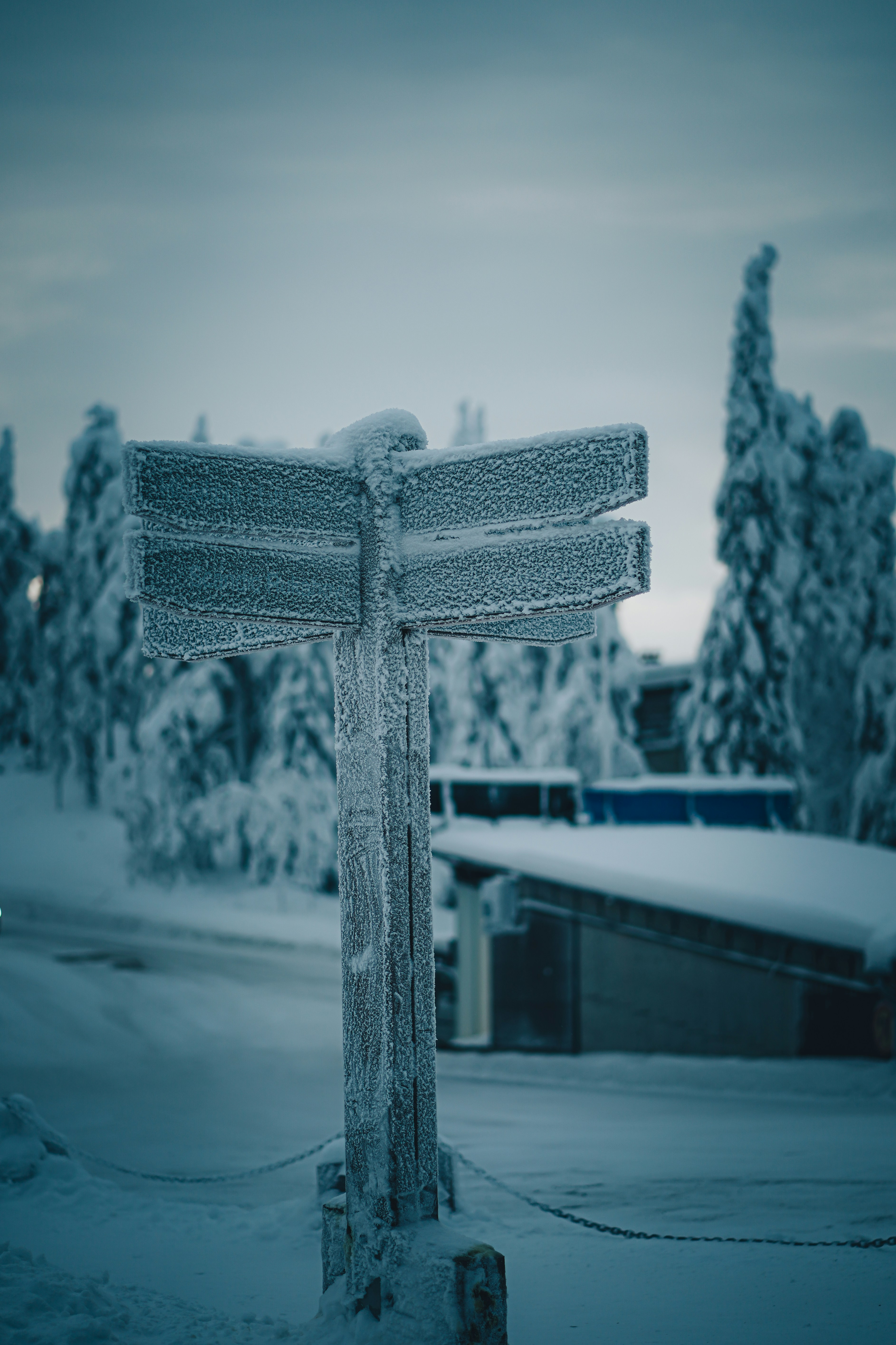Icy Signpost Guarding a Snowbound Village