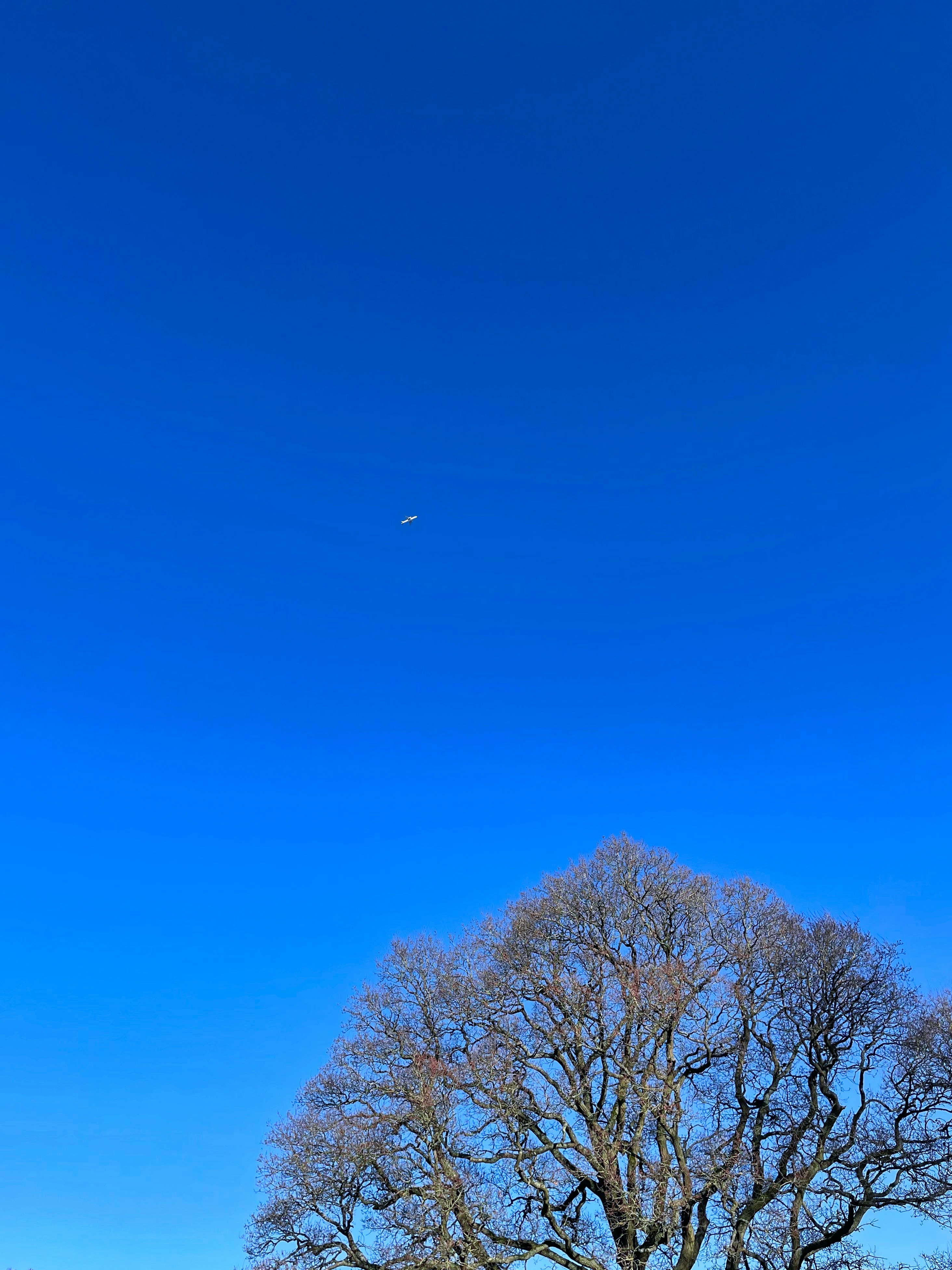 Best 200+Sky Photos | Download Free Images On Unsplash