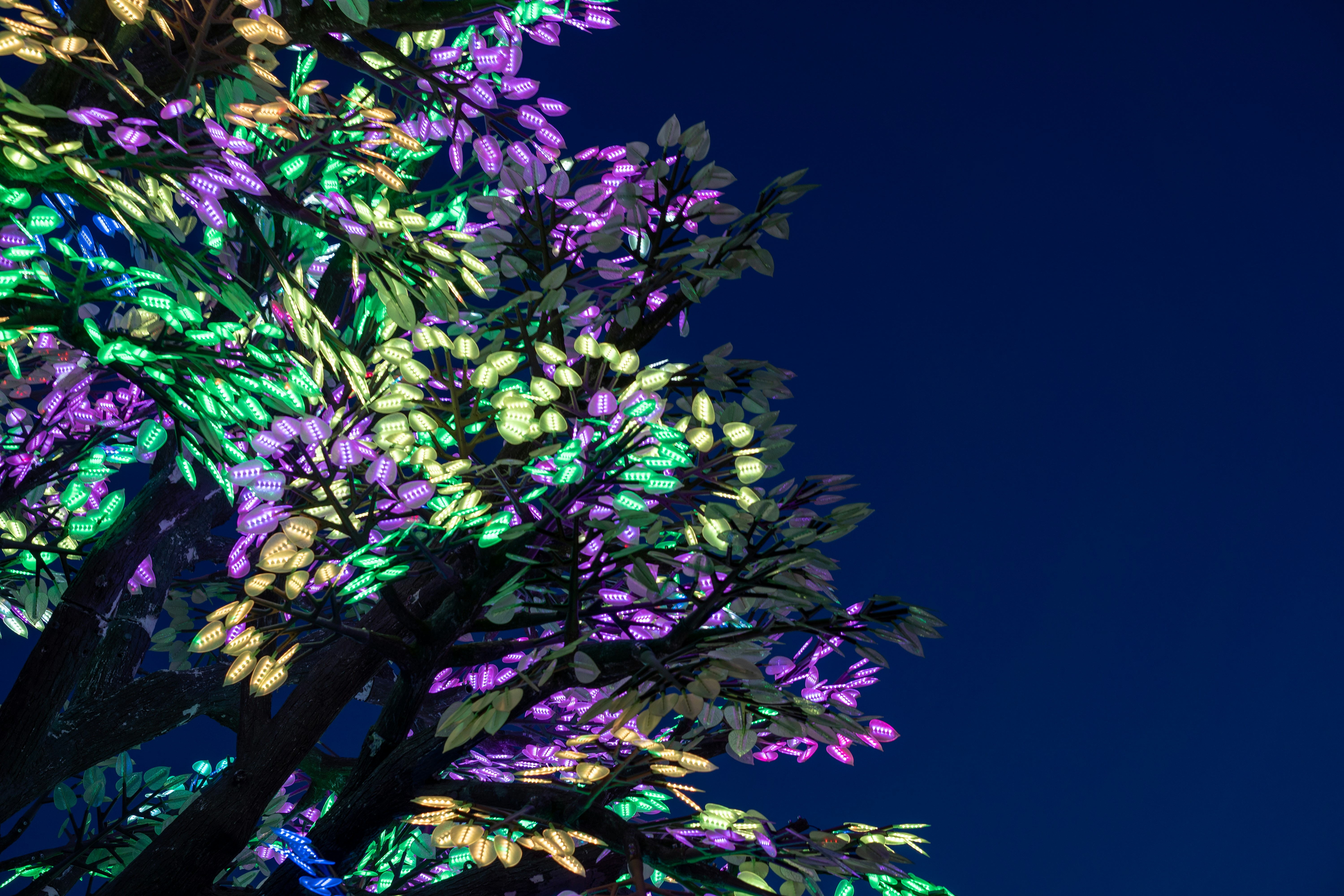Colorful lights illuminate the leaves of a tree against a deep blue sky, creating a vibrant visual spectacle.