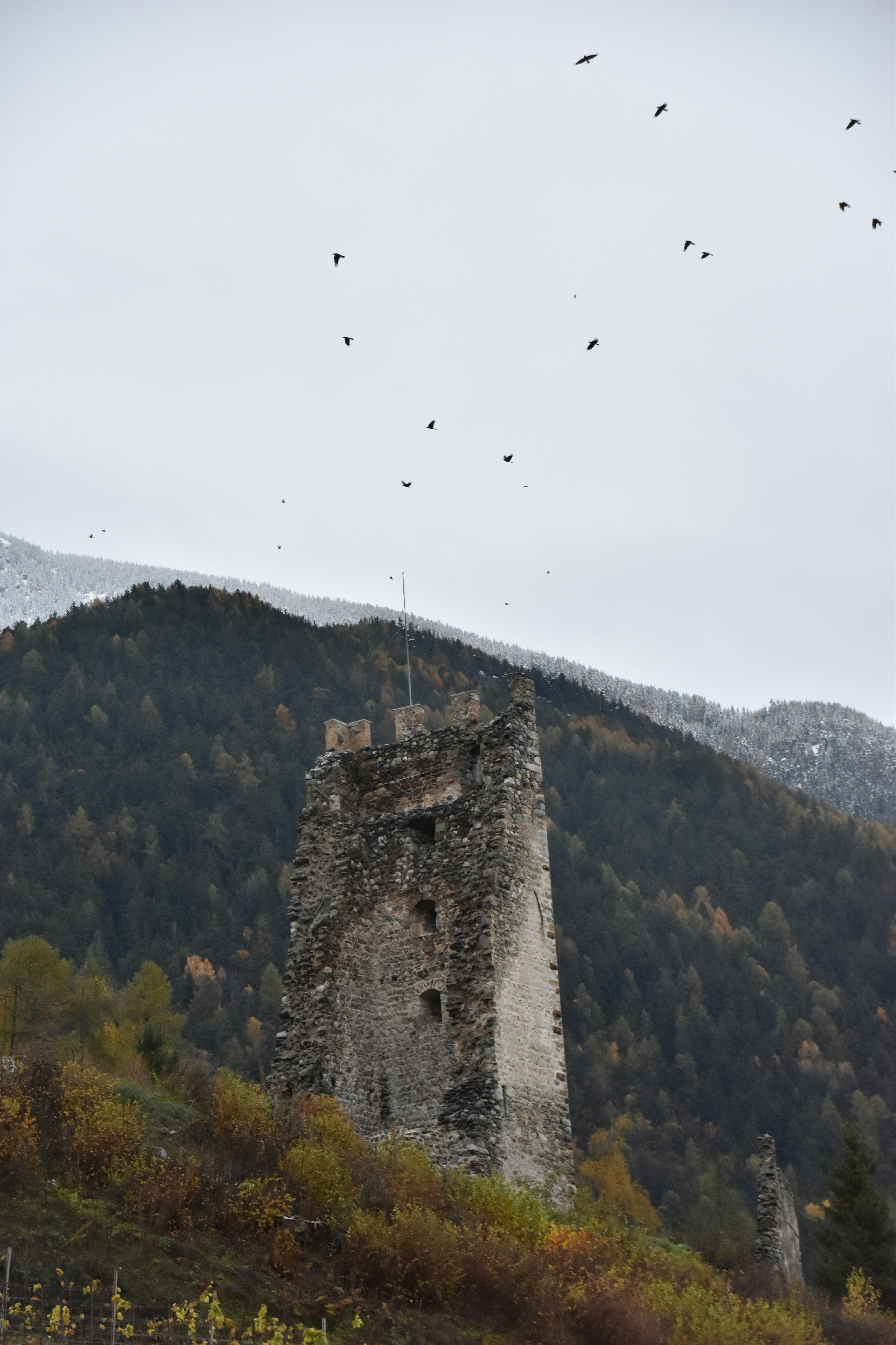 birds flying over a castle in the mountains