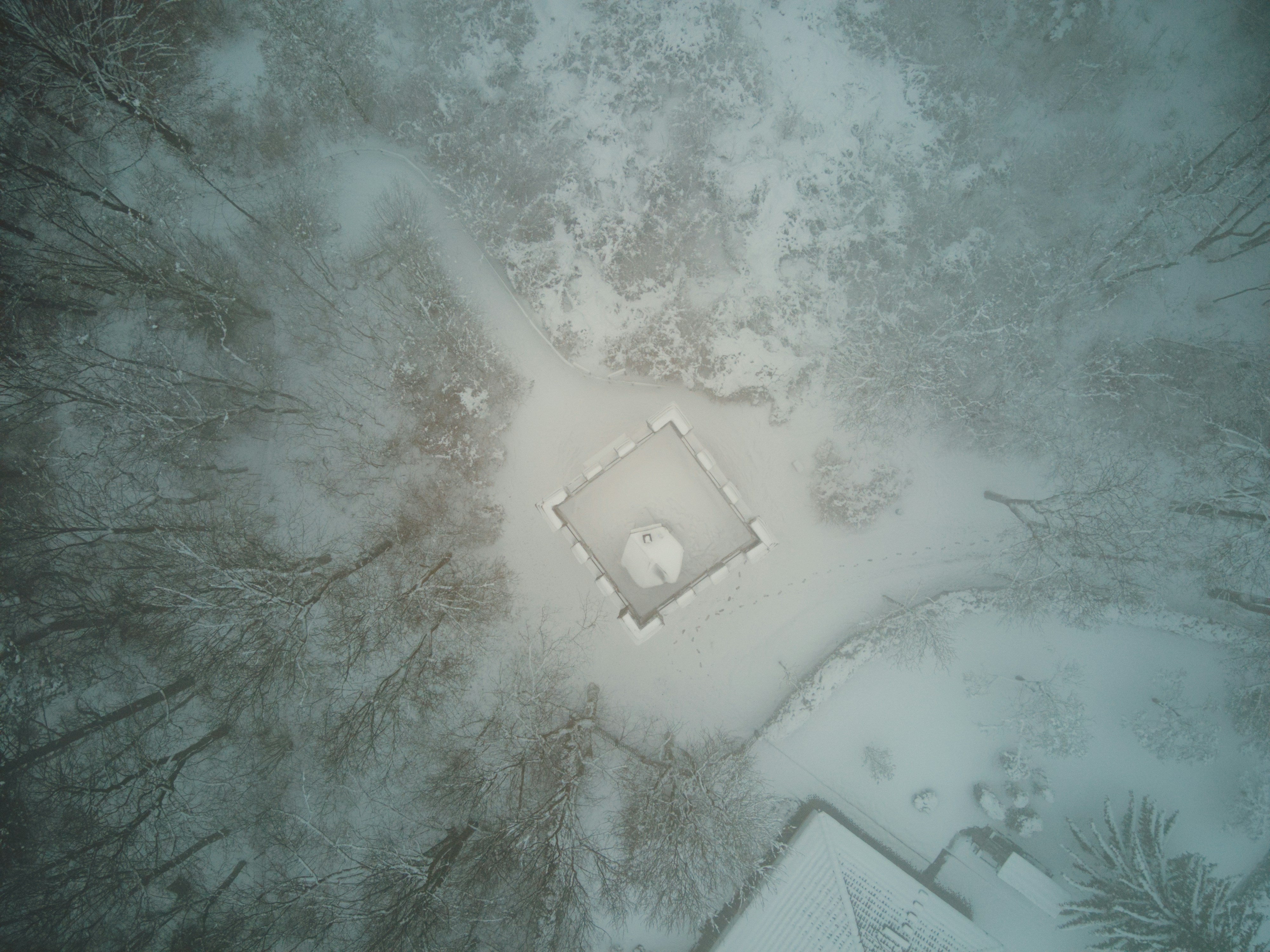 A square in the middle of a snowy forest photo – Free Coburg Image on ...