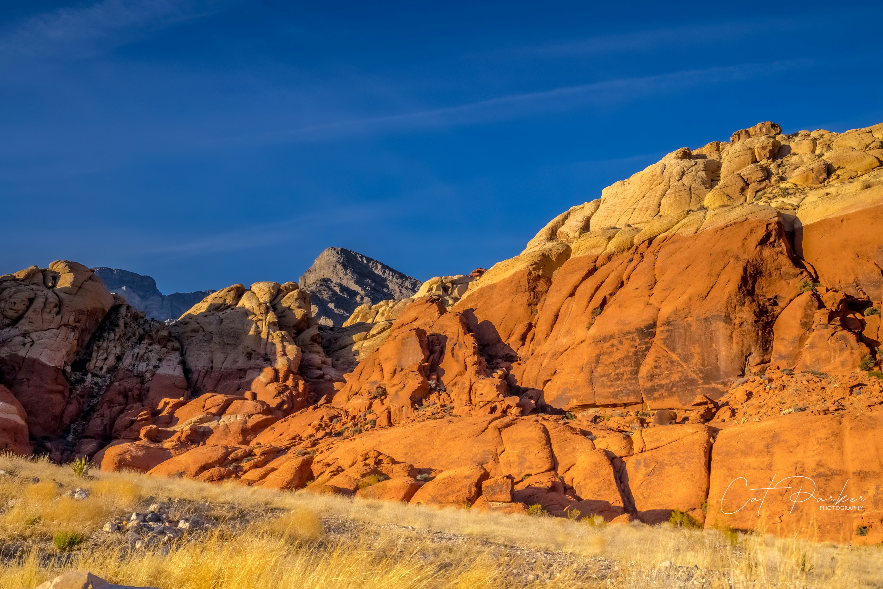 Une montagne rocheuse avec de l’herbe jaune devant elle photo – Photo ...