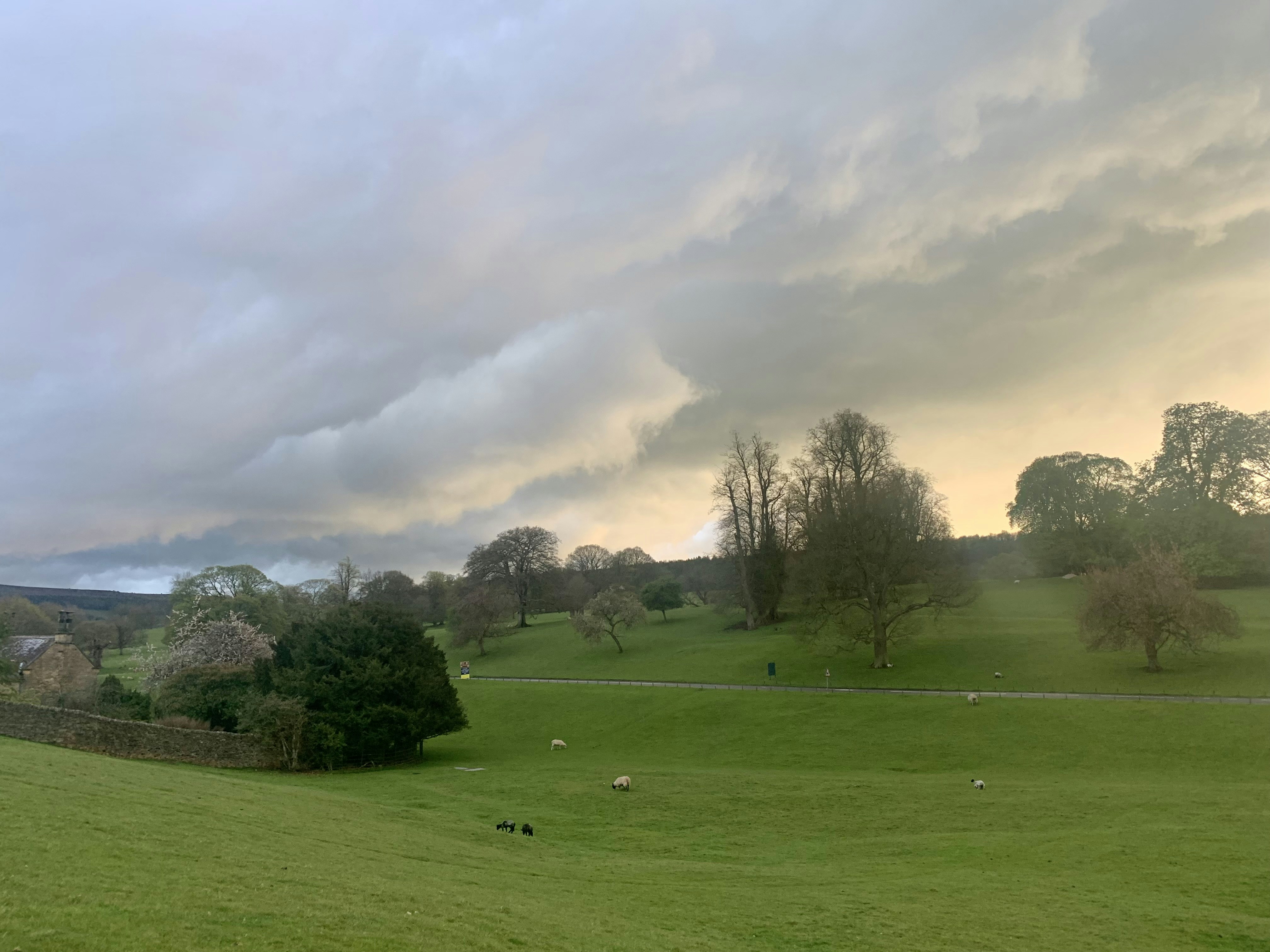 Dusk on the Green: Rolling Meadow Under a Cloud-Washed Sky