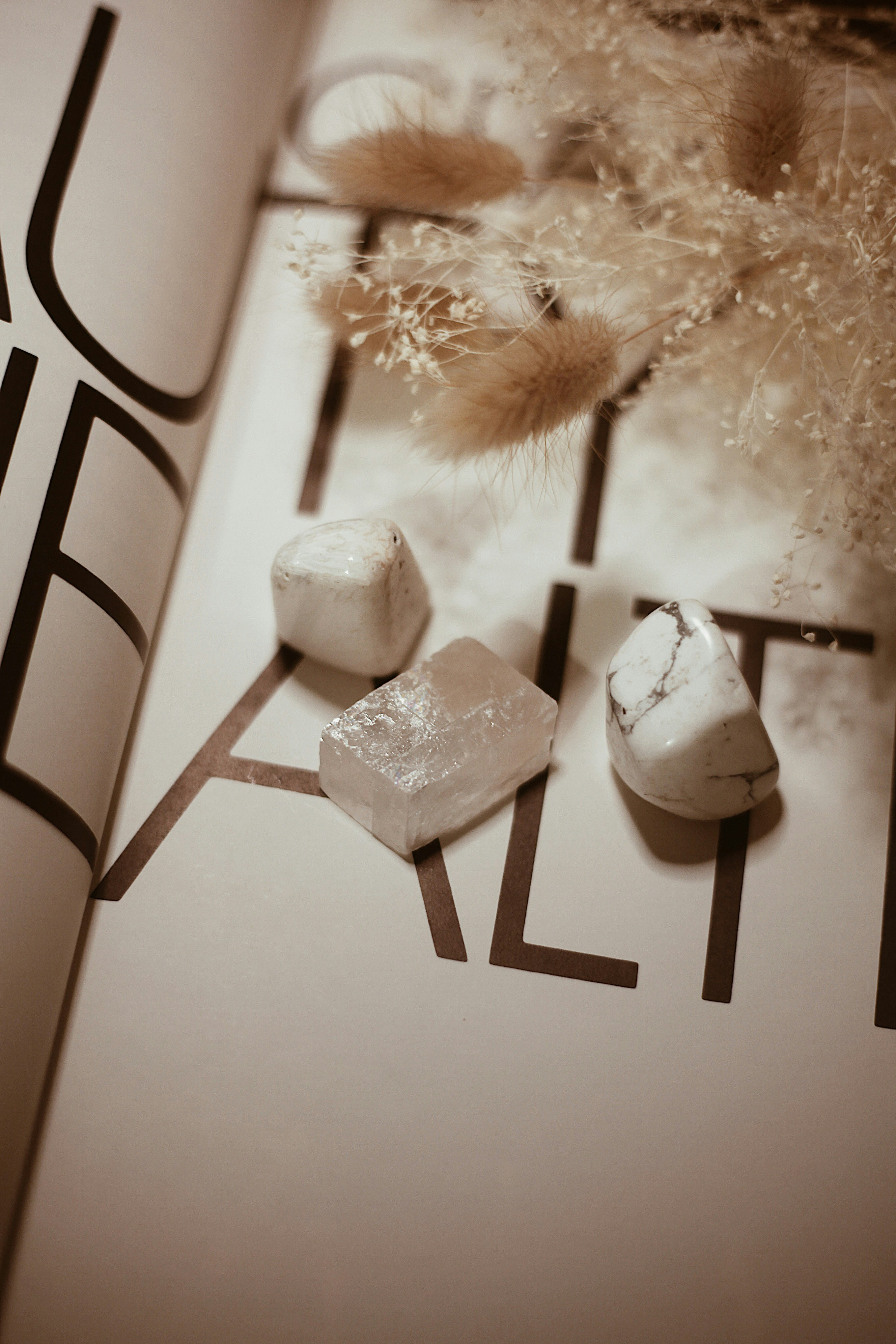 Pebbles on a Page: Quiet Still Life with Paper and Dried Flora